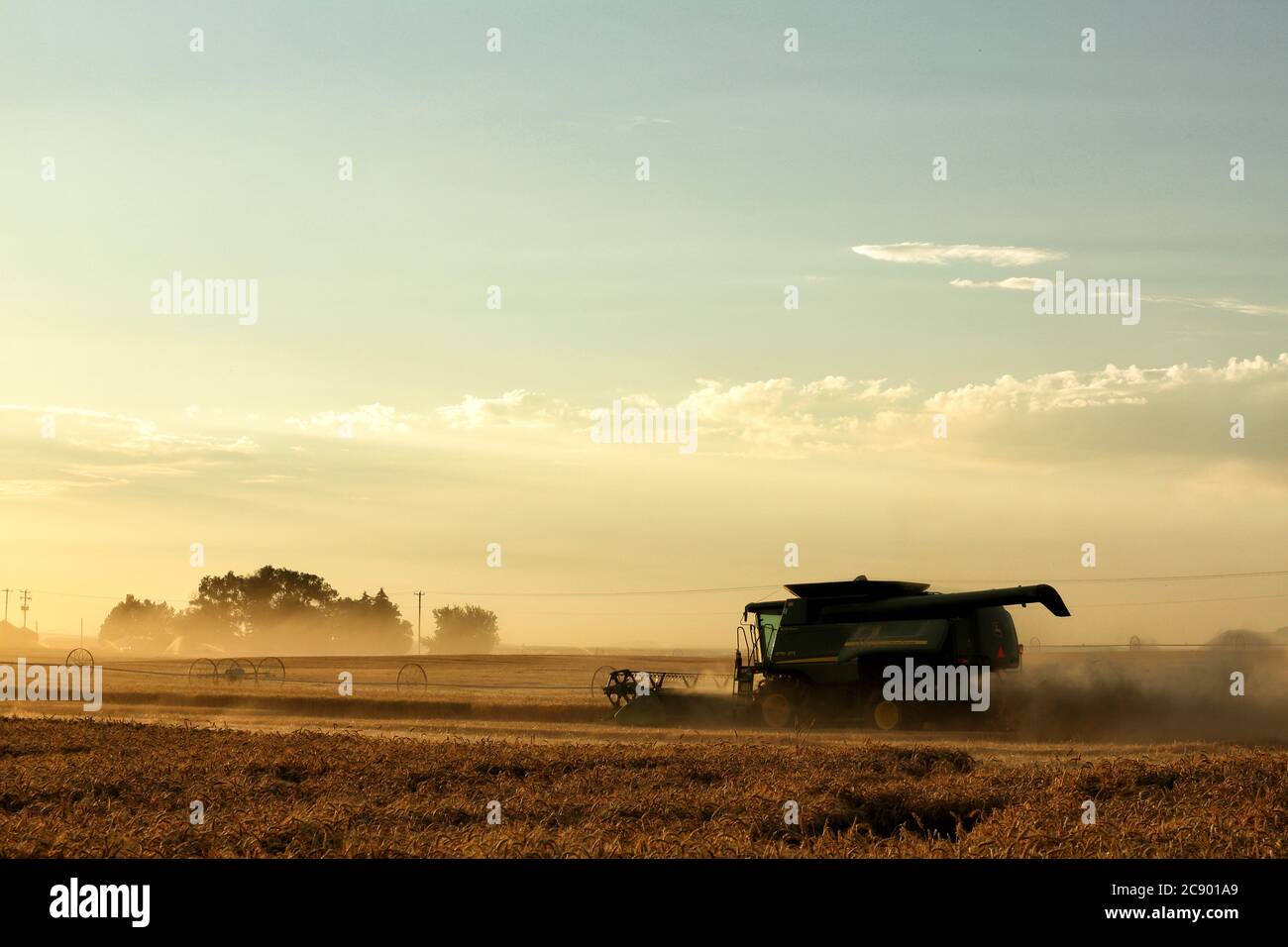 Grain harvester combine hi-res stock photography and images - Alamy