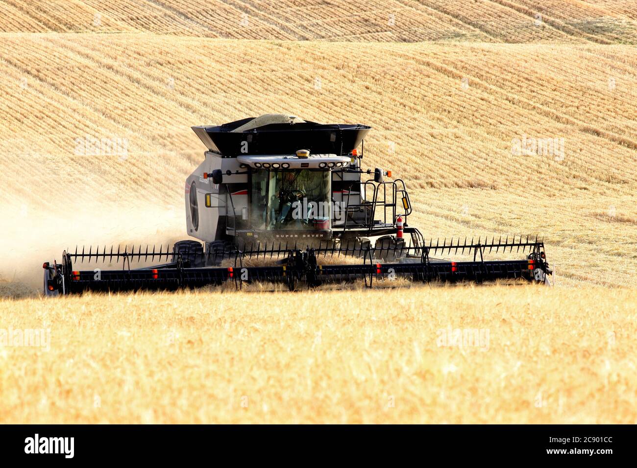 Combines harvesting wheat hi-res stock photography and images - Alamy