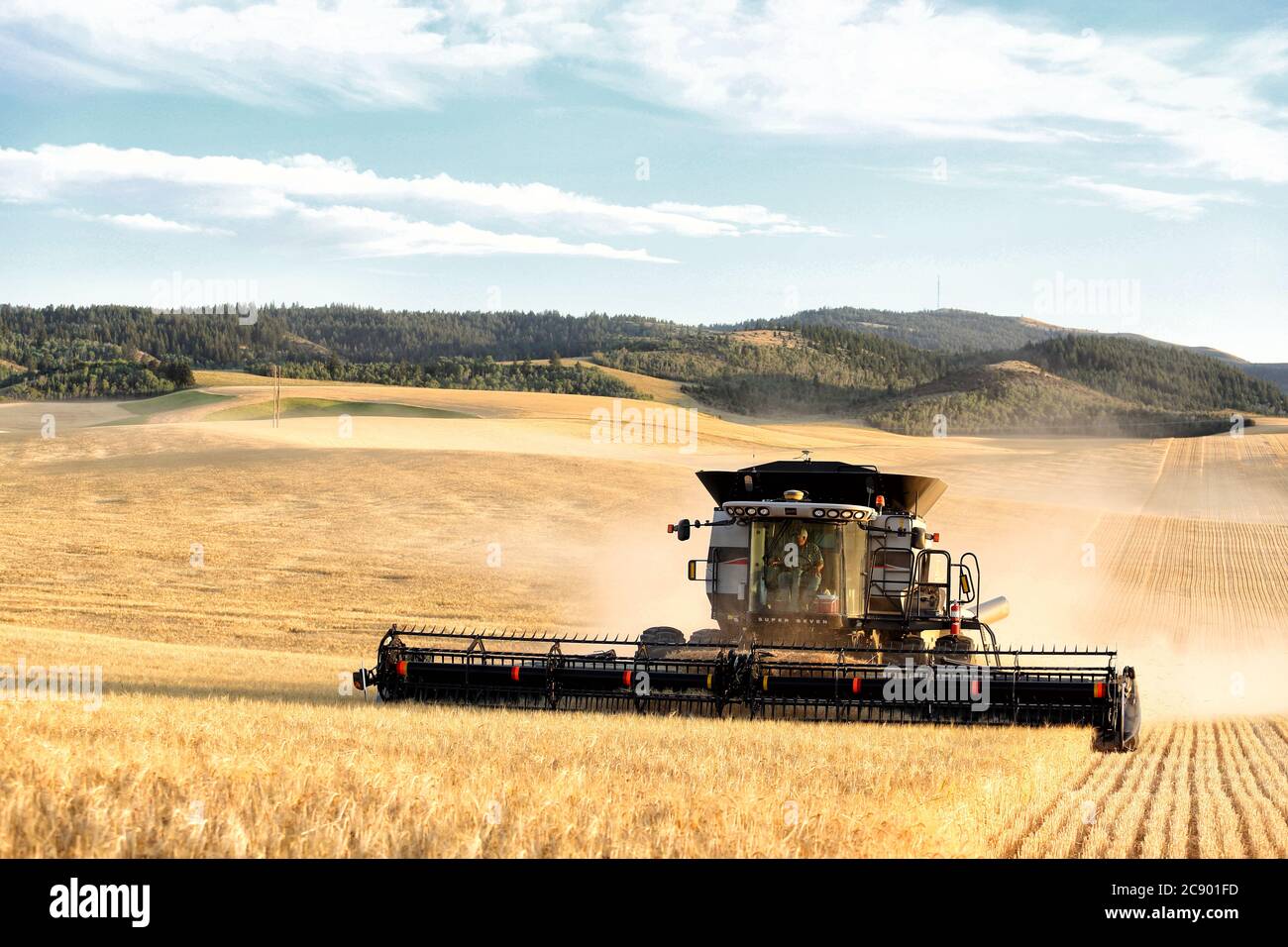 Combines work harvesting wheat in the fertile farm fields of Idaho ...