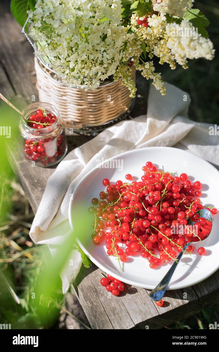 Red currant composition garden hi-res stock photography and images - Alamy