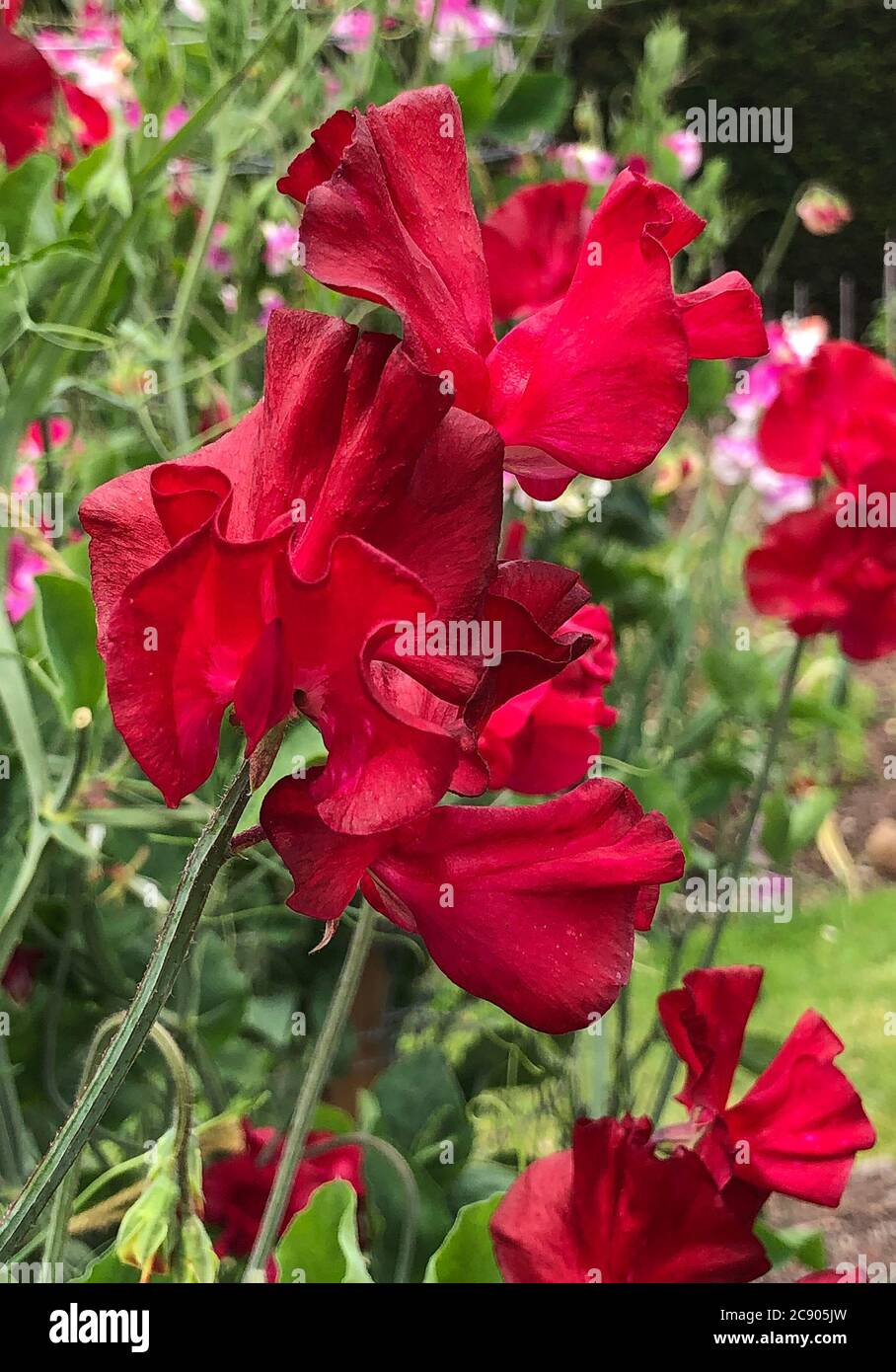 Churchill collection hi-res stock photography and images - Alamy