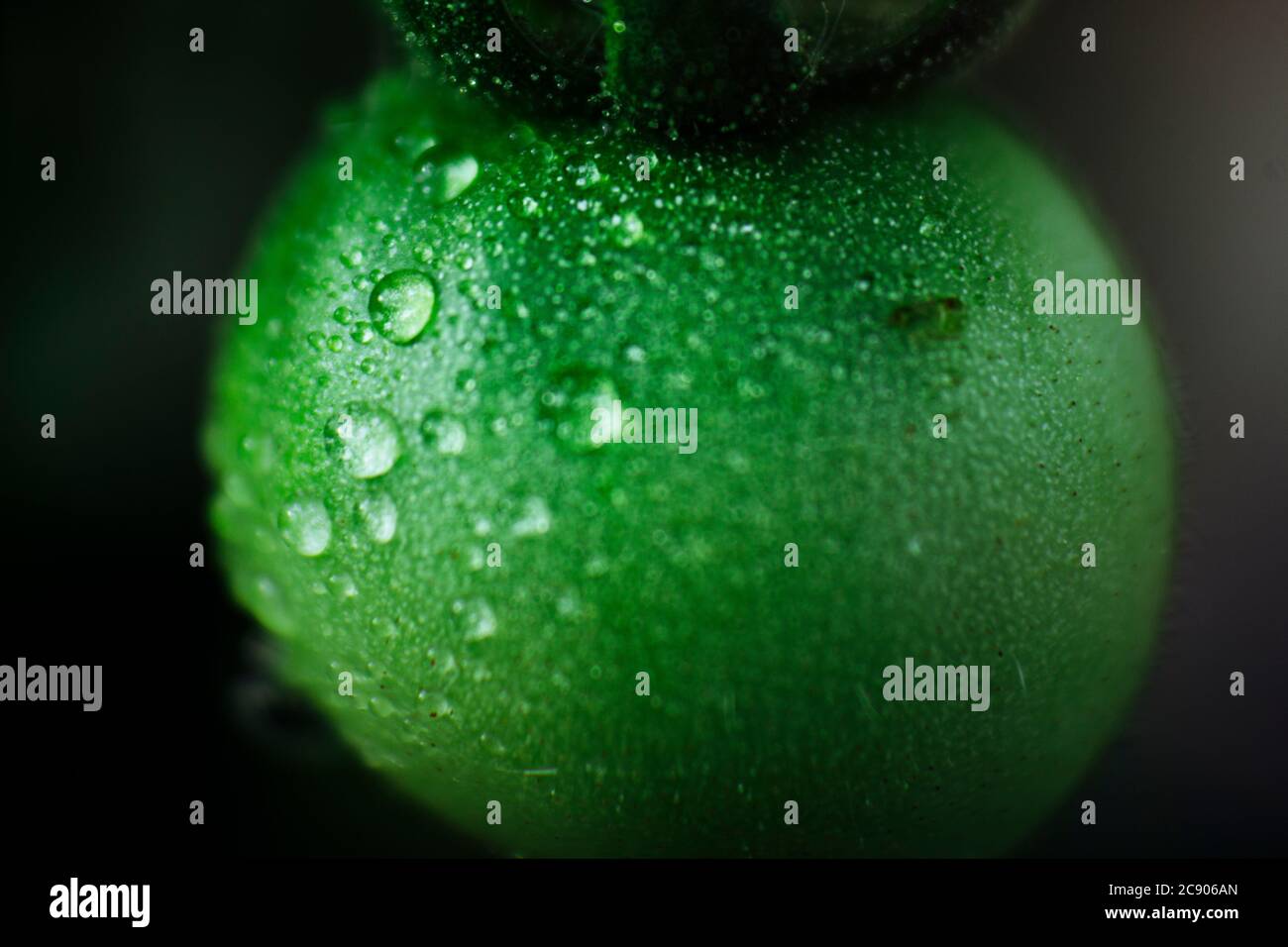 Tiny screw hi-res stock photography and images - Alamy