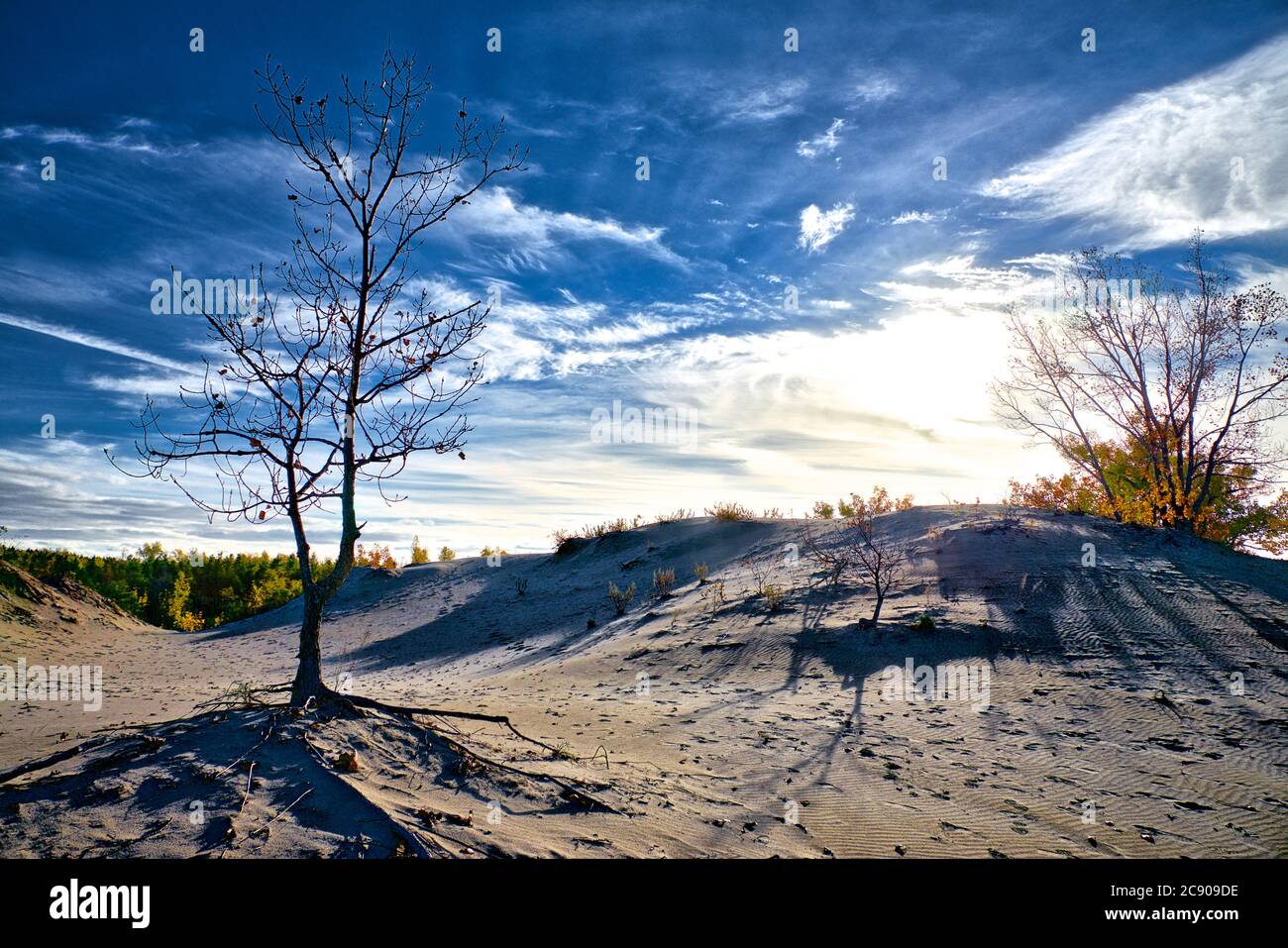 Colorful landscape of sunset in the sands dunes with autumn leaf color ...