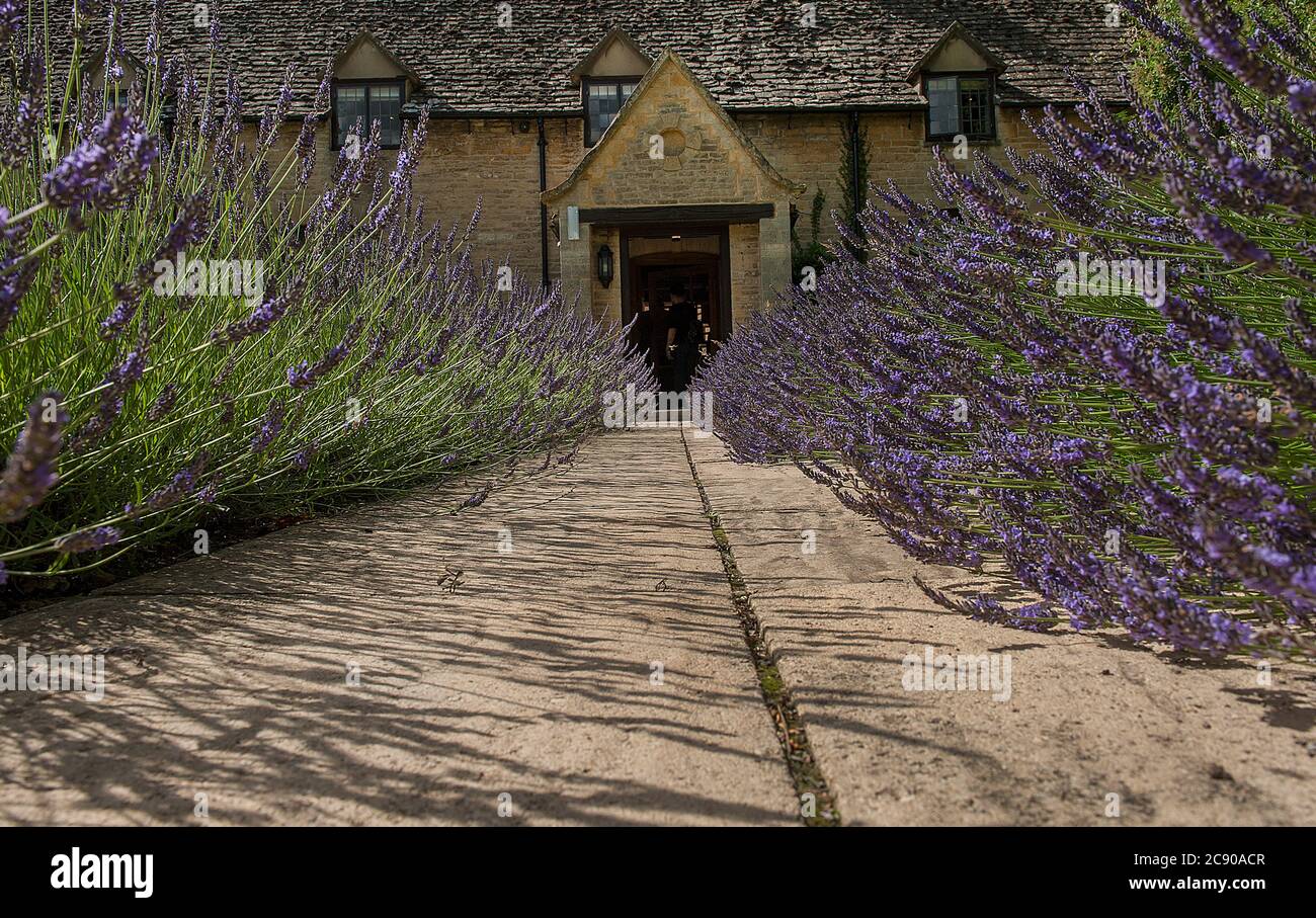 Pathway leading to door hi-res stock photography and images - Alamy