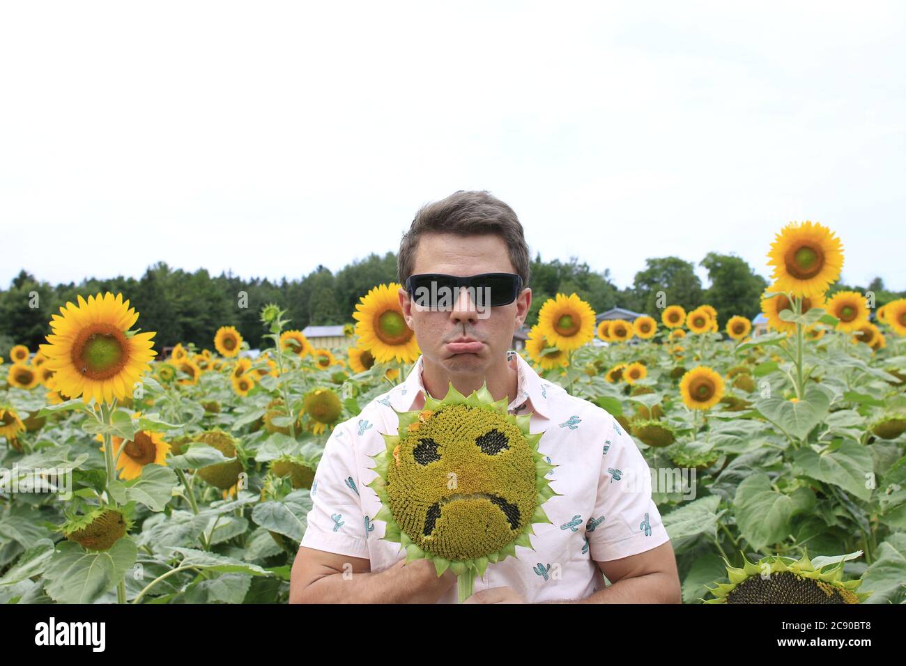 Young handsome happy man with sunflower in hands standing in wheat ...
