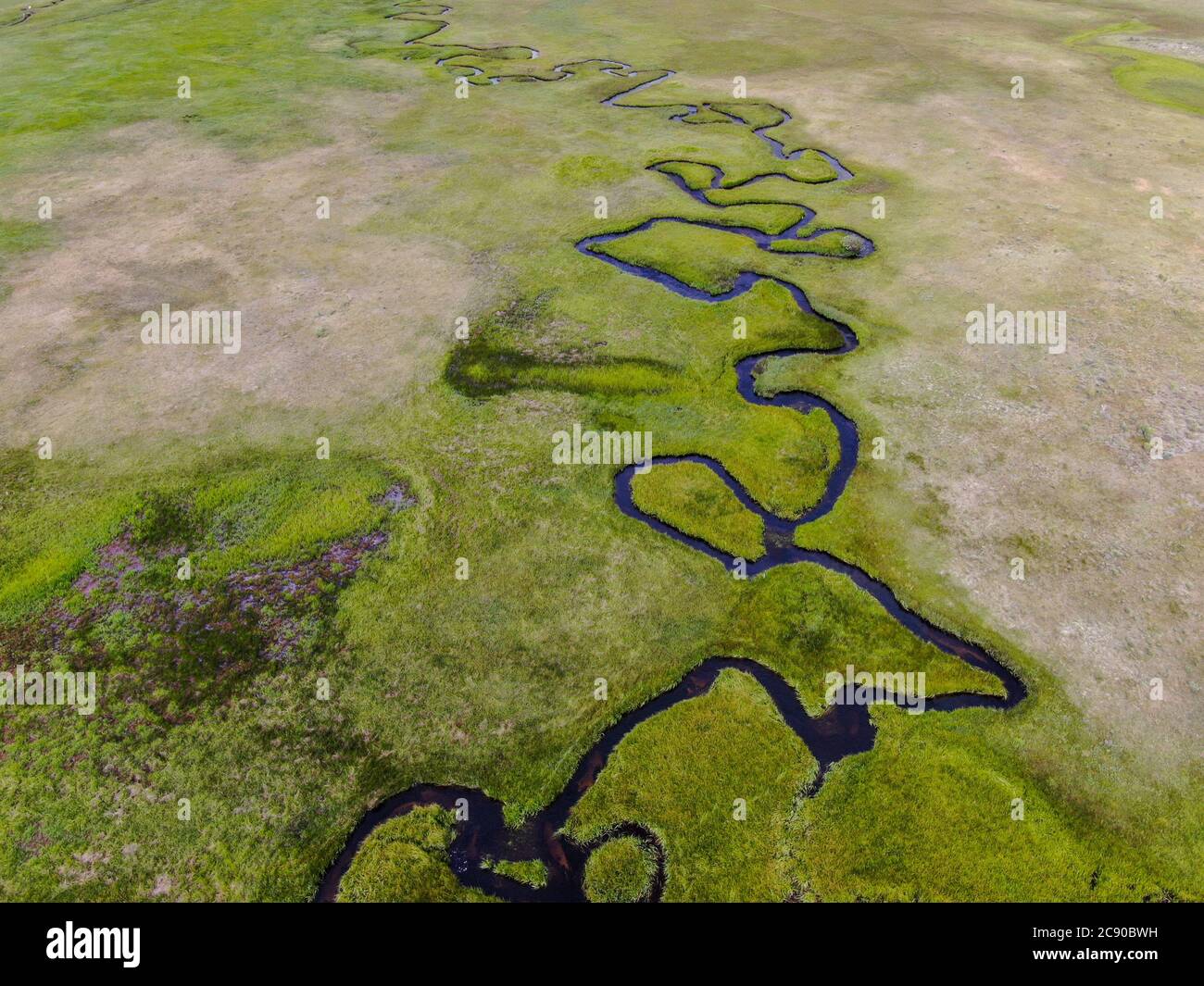 Aerial view of green land and small curve river in Aspen Springs, Mono ...