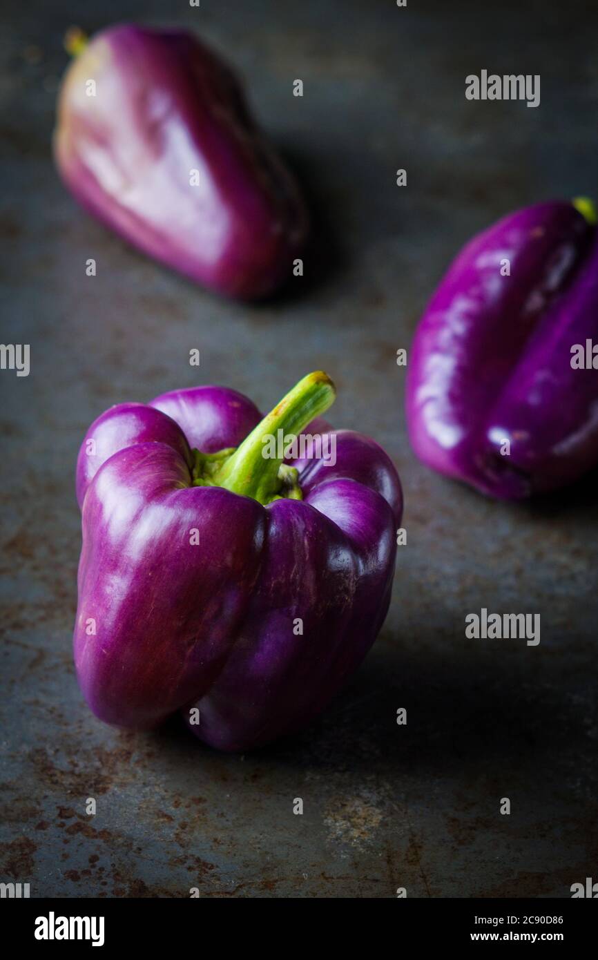 Purple Bell Peppers Stock Photo - Alamy