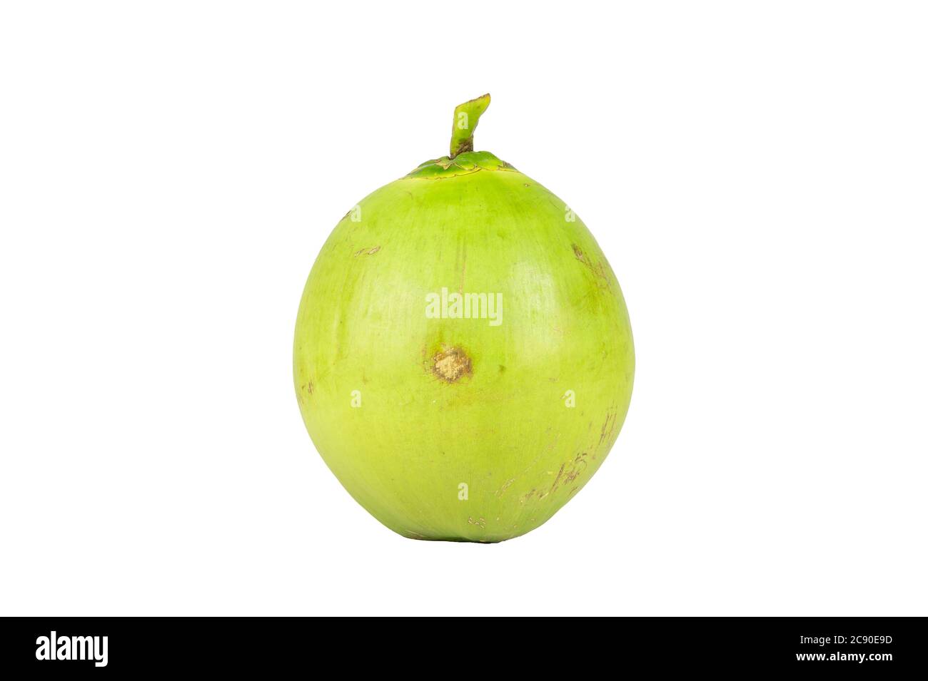 Single Green Coconut