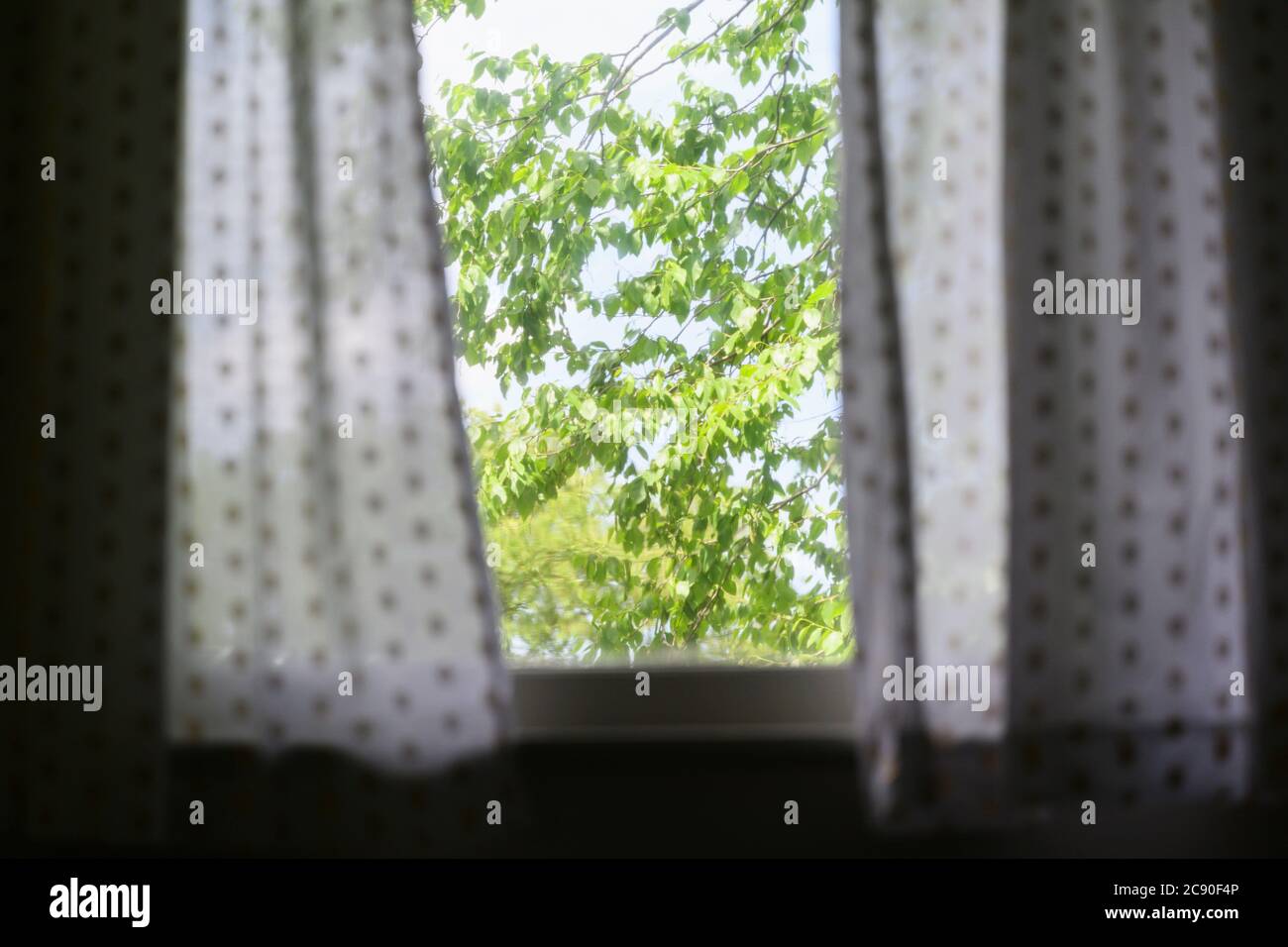Summer trees seen through window Stock Photo - Alamy