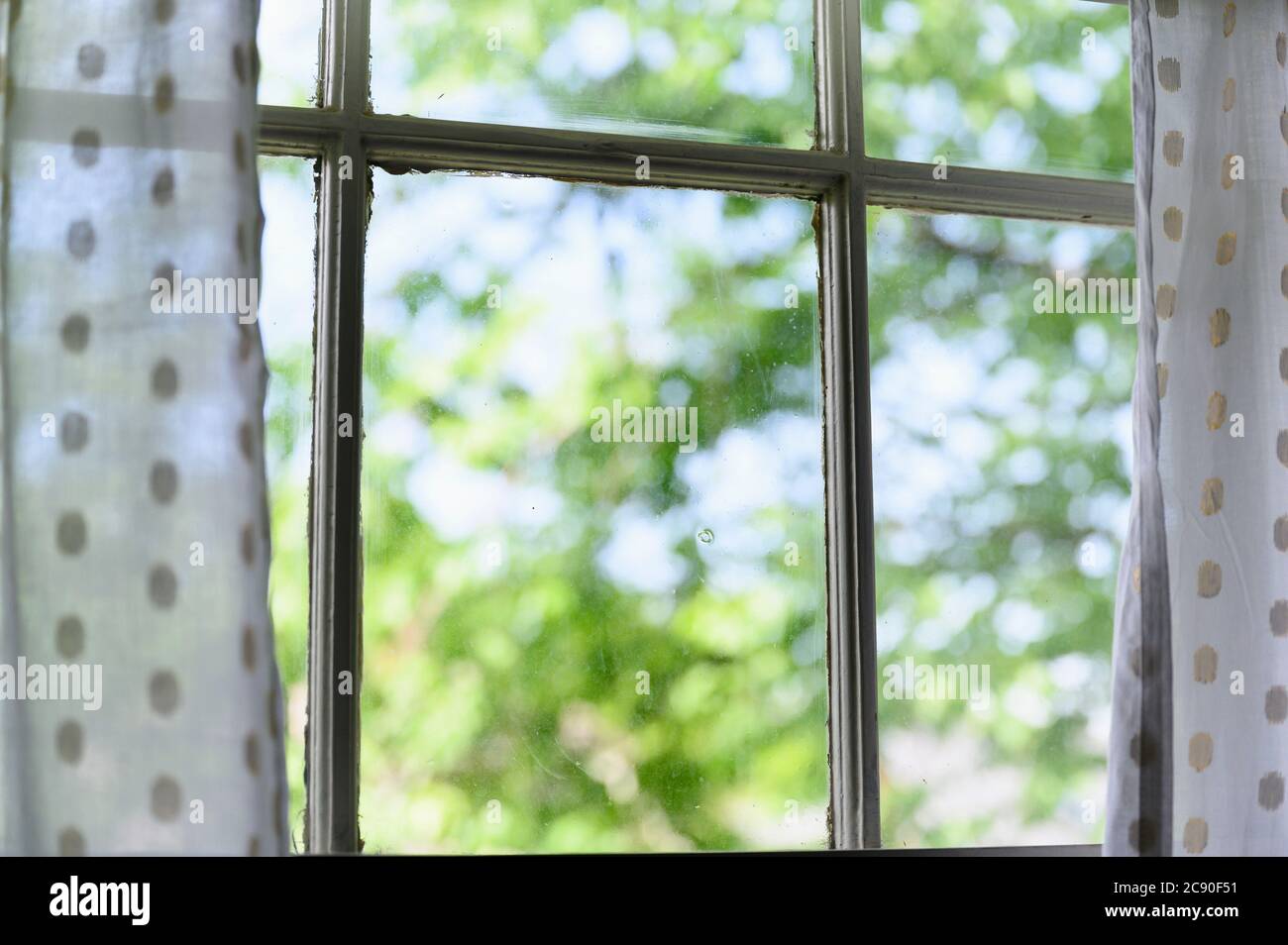Summer trees seen through window Stock Photo - Alamy