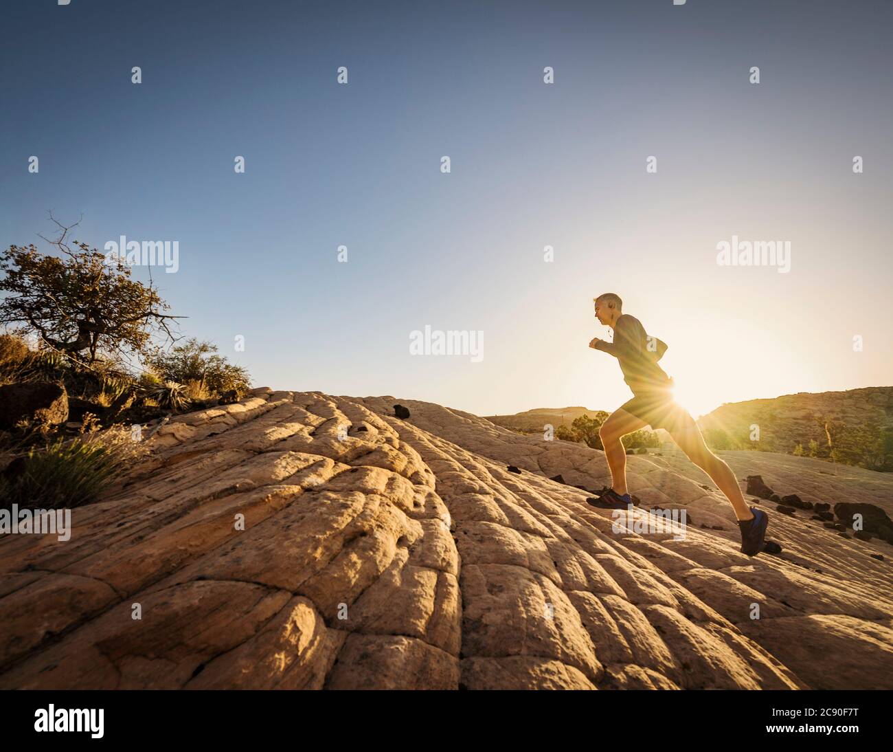 George bush full length hi-res stock photography and images - Alamy