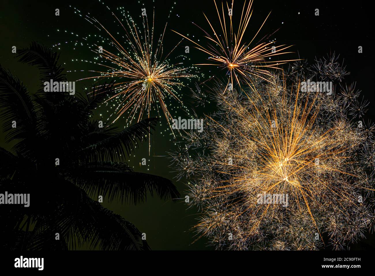 Palm tree and firework display Stock Photo - Alamy
