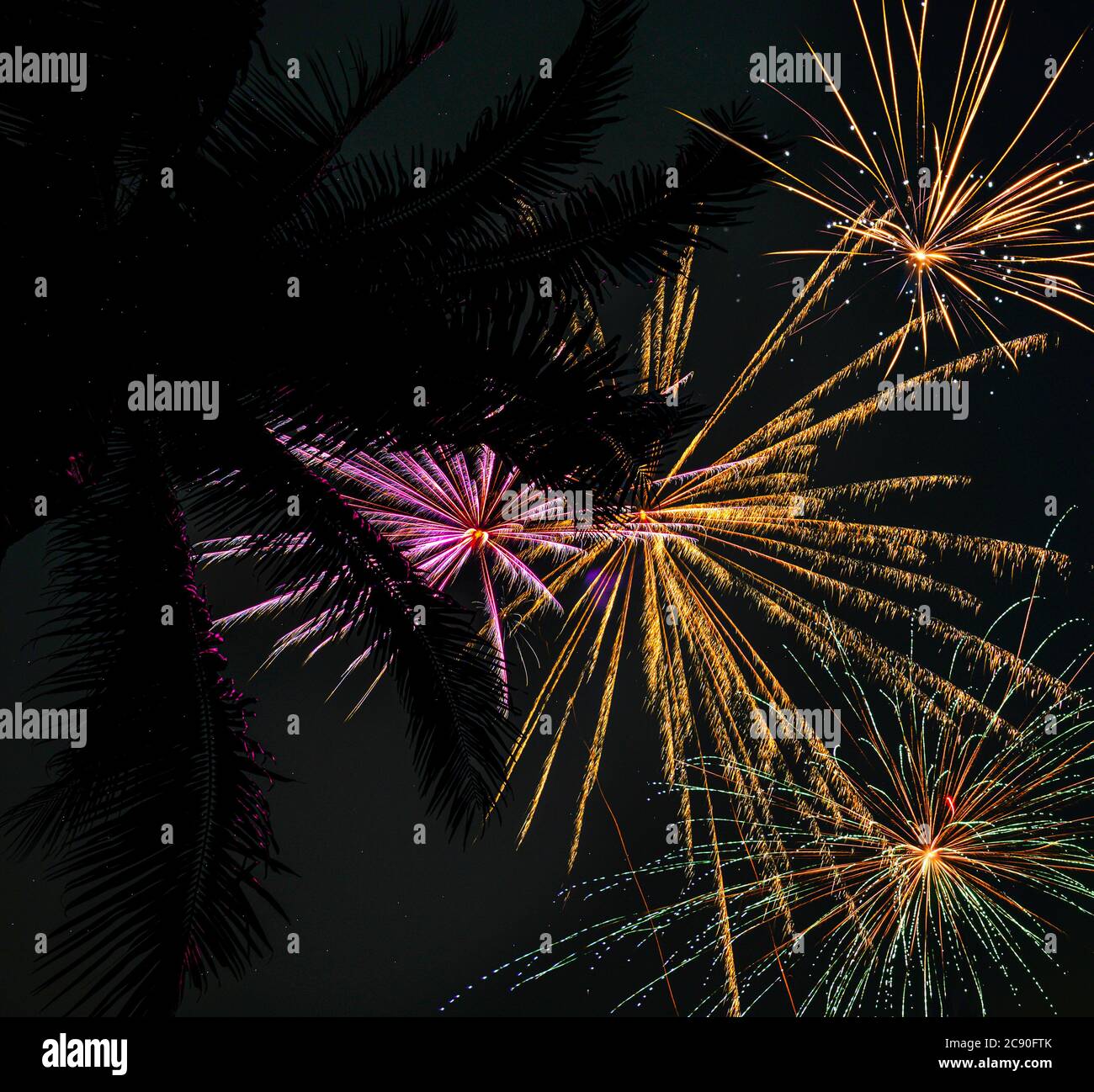 Palm tree and firework display Stock Photo - Alamy