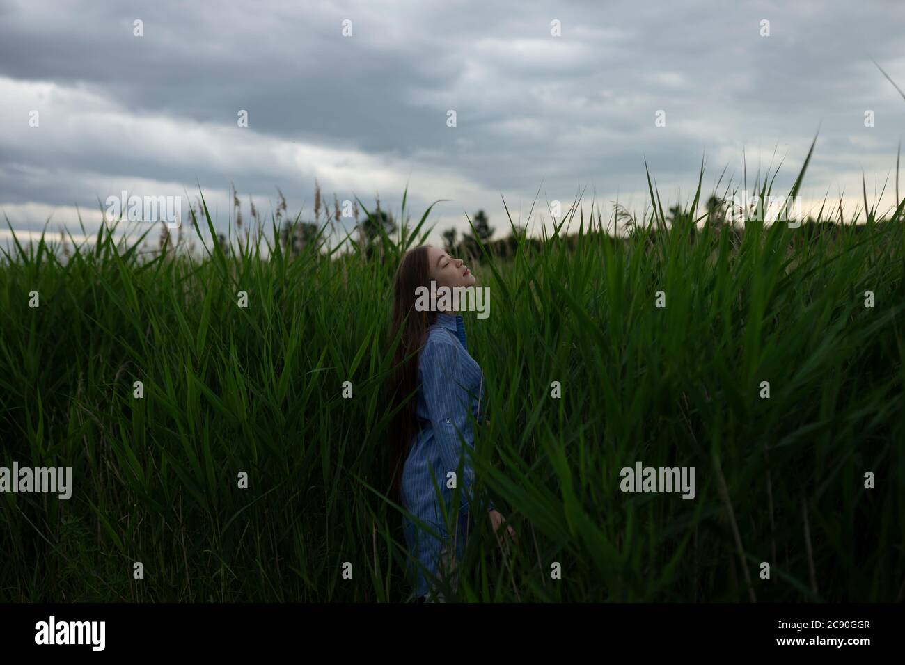 Russia, Omsk, Young woman in tall grass Stock Photo - Alamy