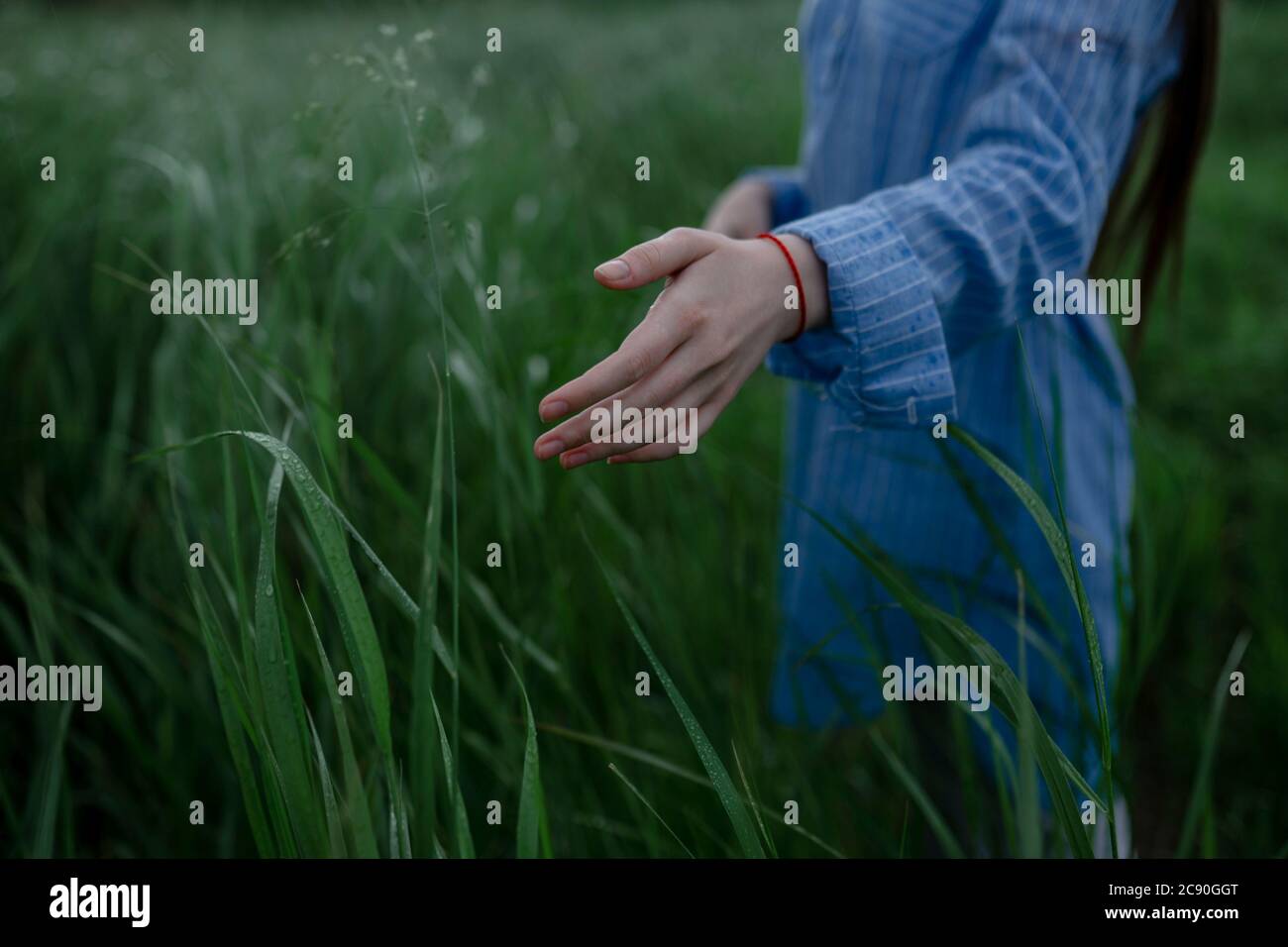 Russia, Omsk, Mid section of woman in tall grass Stock Photo - Alamy
