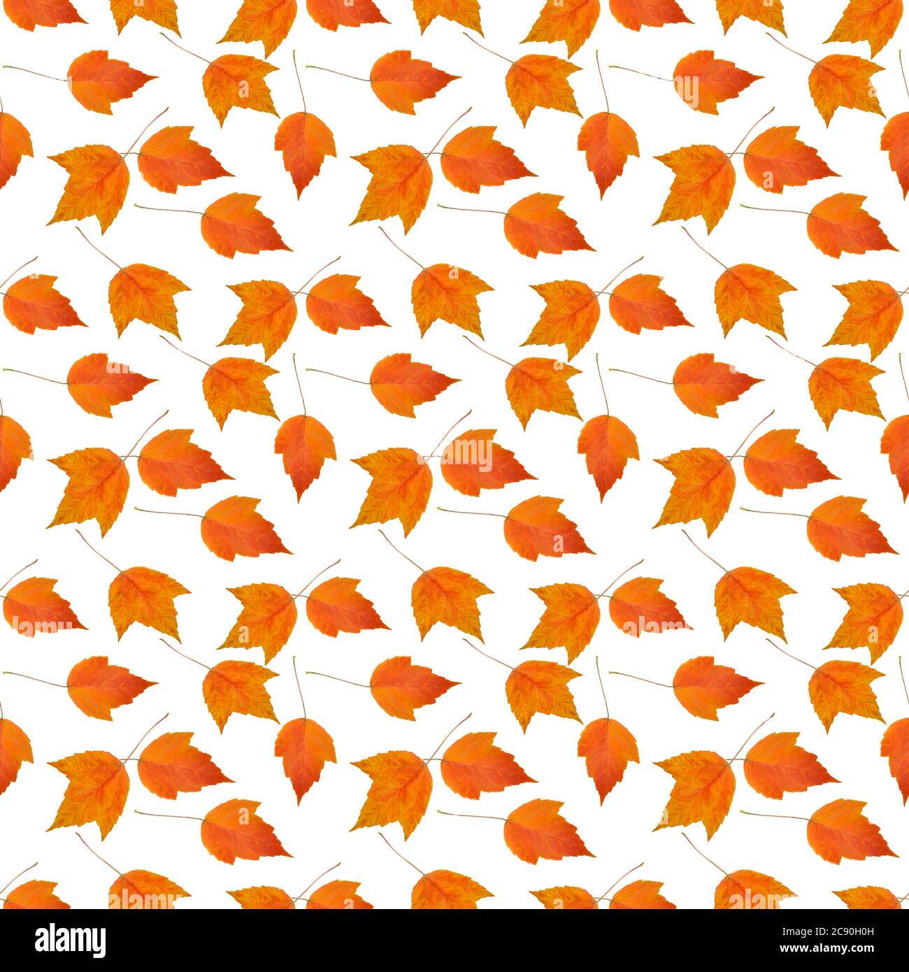 Seamless fall background with colorful leaves. Endless texture for your ...