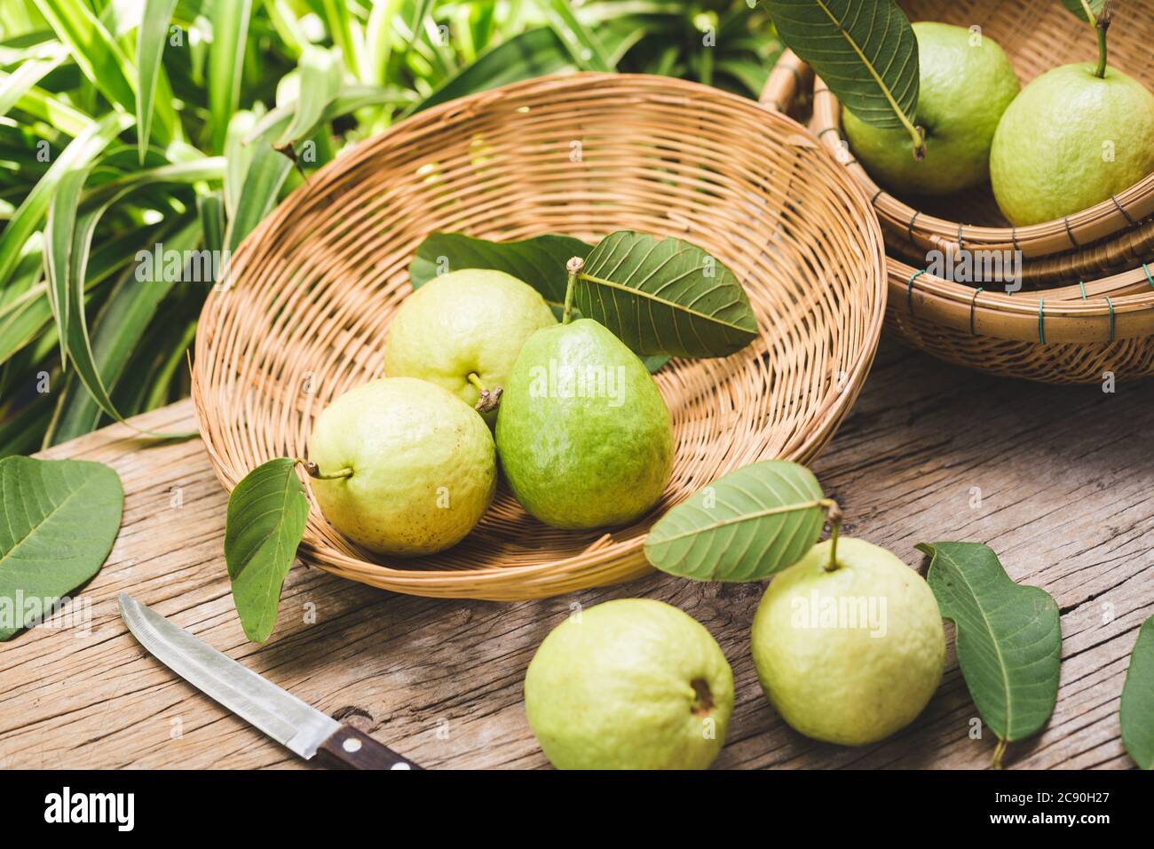 Old guava hi-res stock photography and images - Alamy