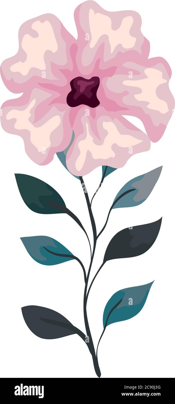 flower pink color with branch and leaves, on white background Stock ...