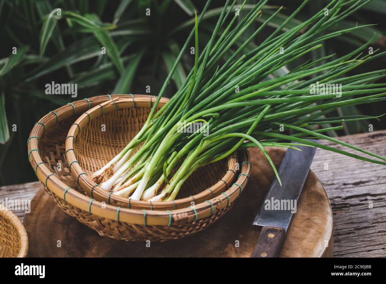 Scallion hi-res stock photography and images - Alamy