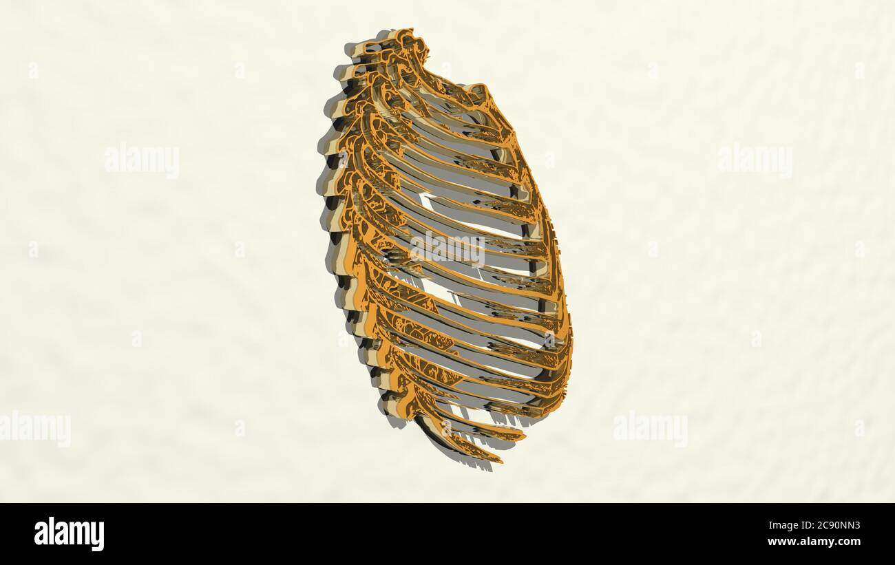 ribs anatomy made by 3D illustration of a shiny metallic sculpture on a ...
