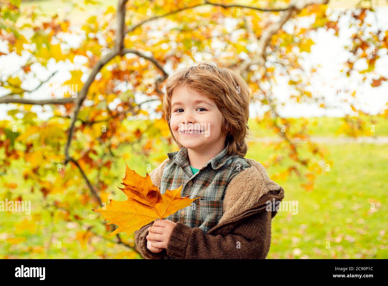 Autumn portrait of cute little boy. Child with leaf in autumn park ...