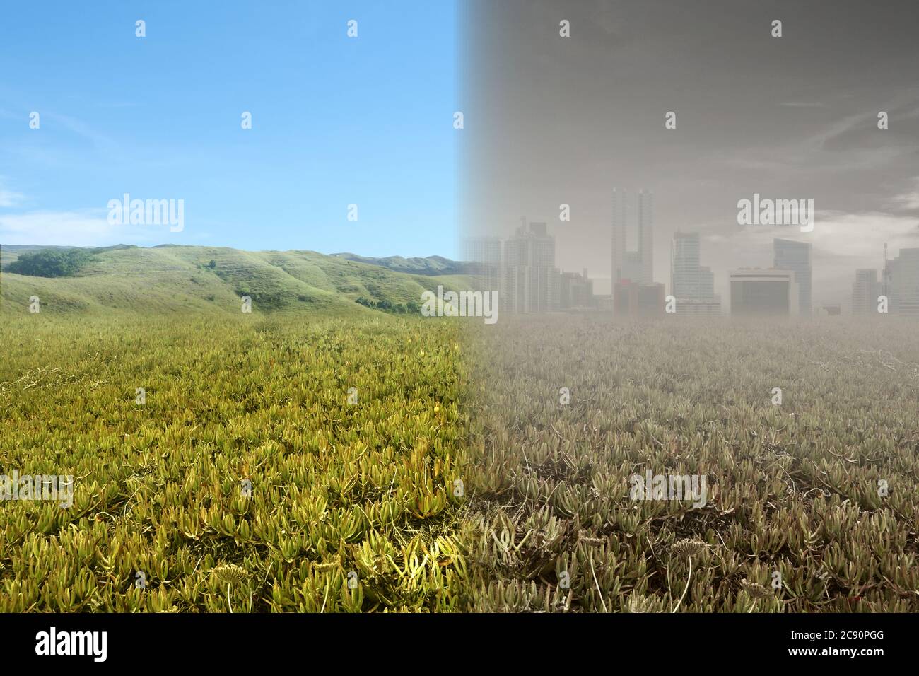 The difference between nature without and with the effects of city ...