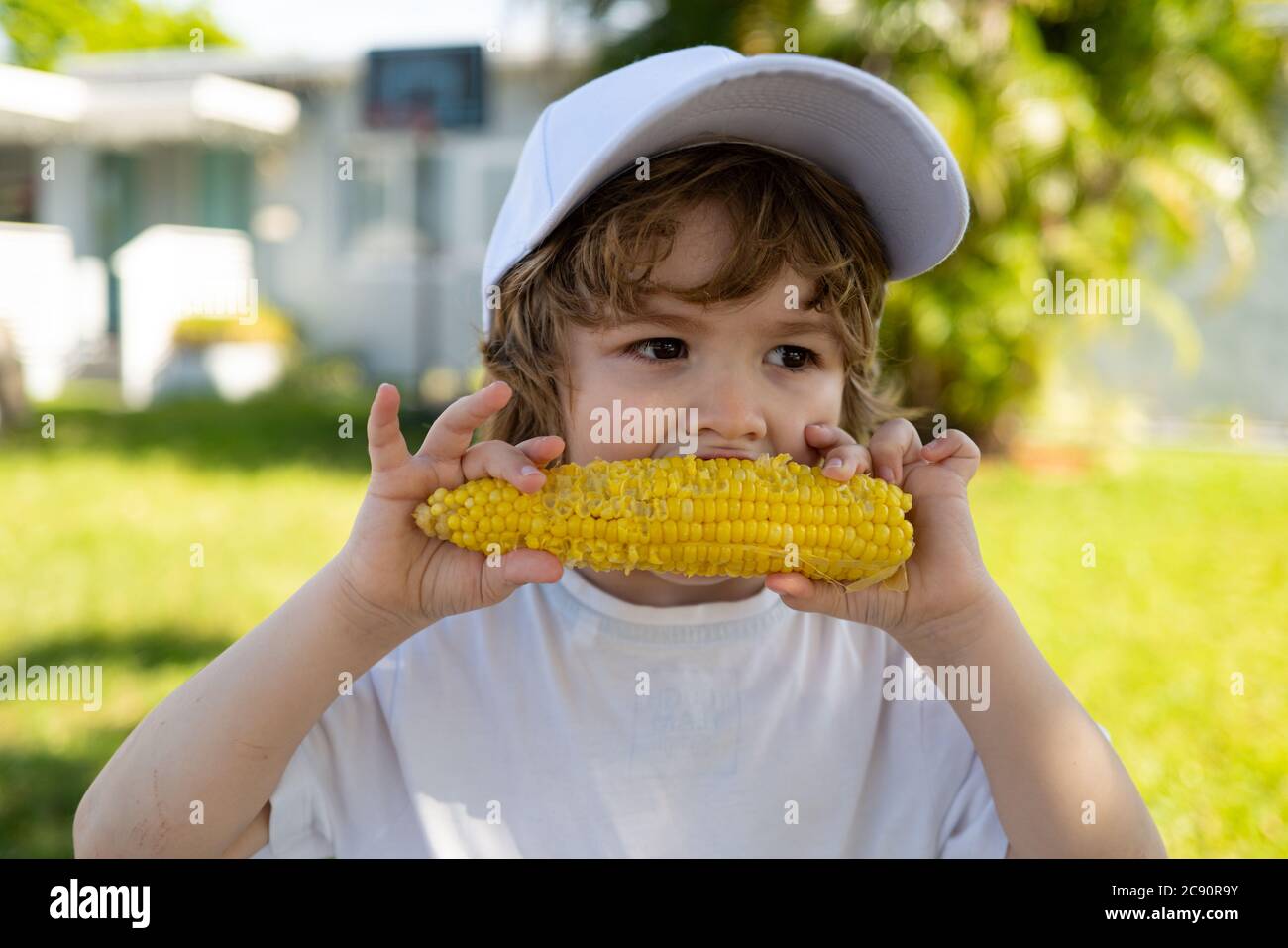 Young boy eating corn on the cob. Farming and autumn crops concept ...