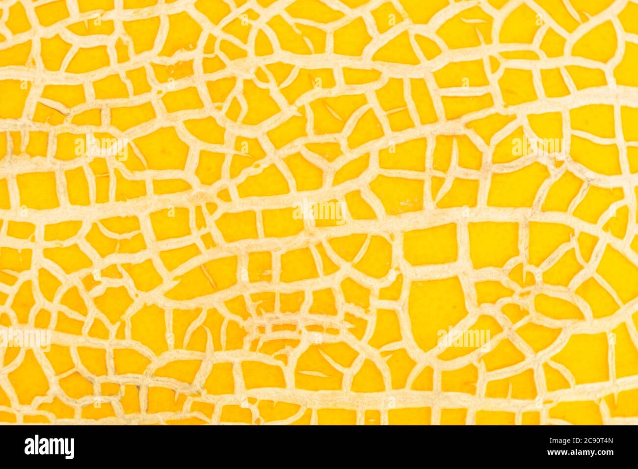 Ripe sweet melon fruit texture background. Close up of a ripe fresh ...