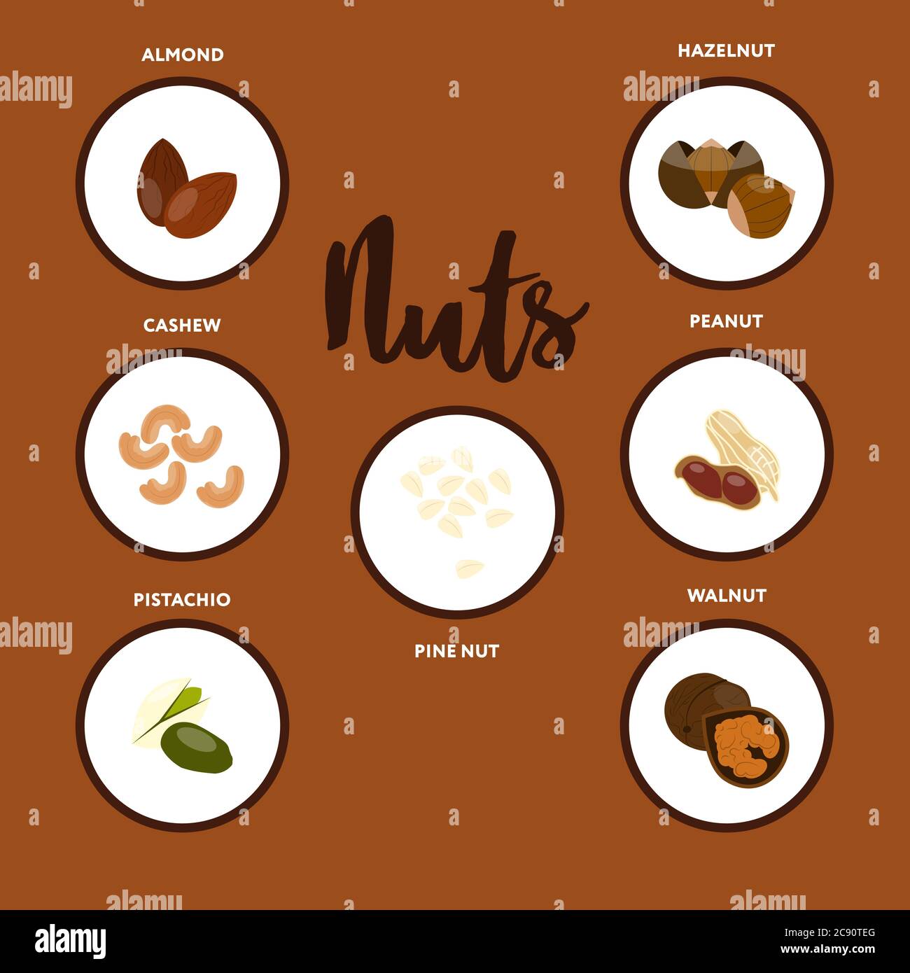 Types of nuts Vector illustration in flat style Stock Vector Image ...