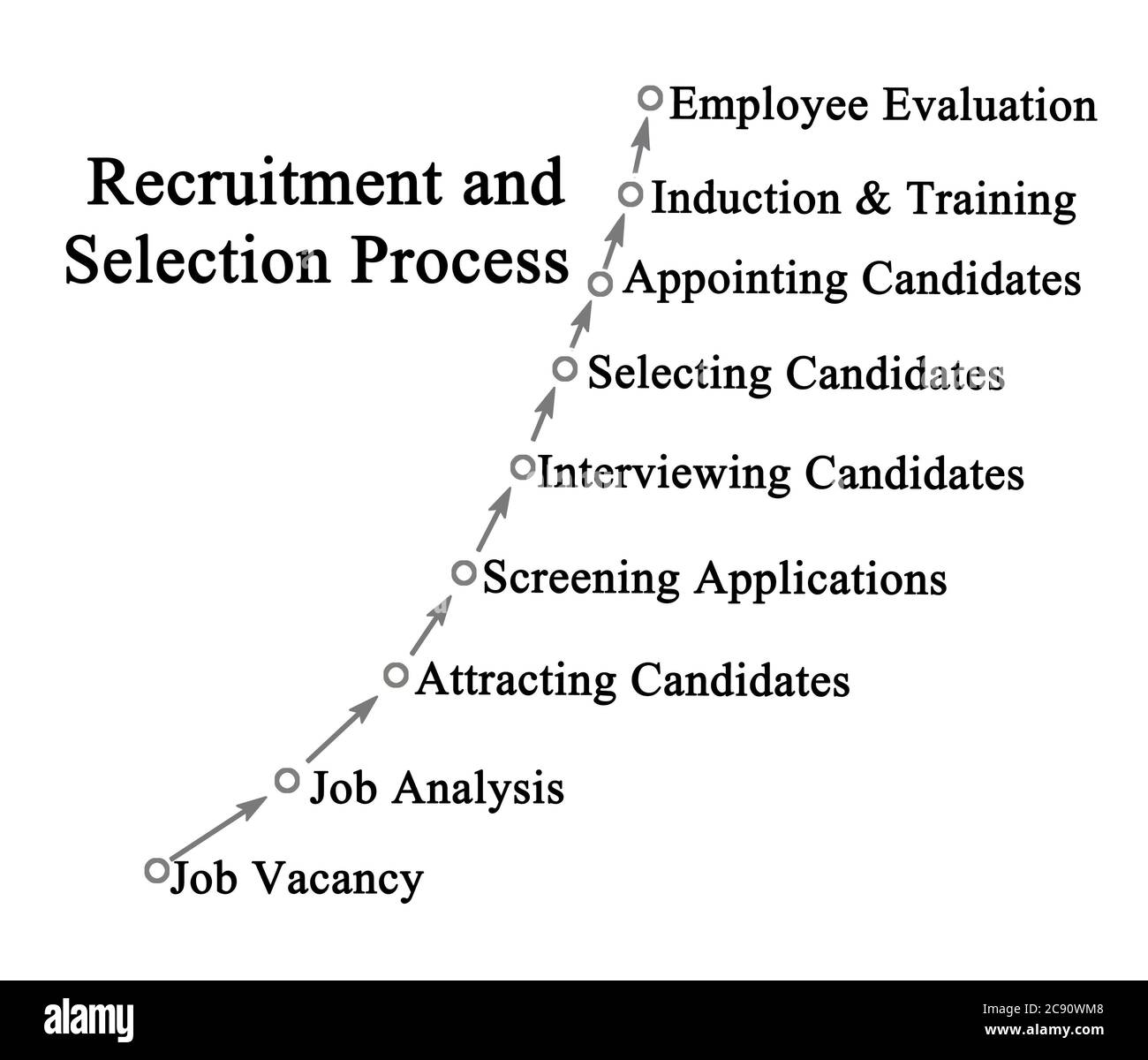 Steps In Recruitment And Selection Process