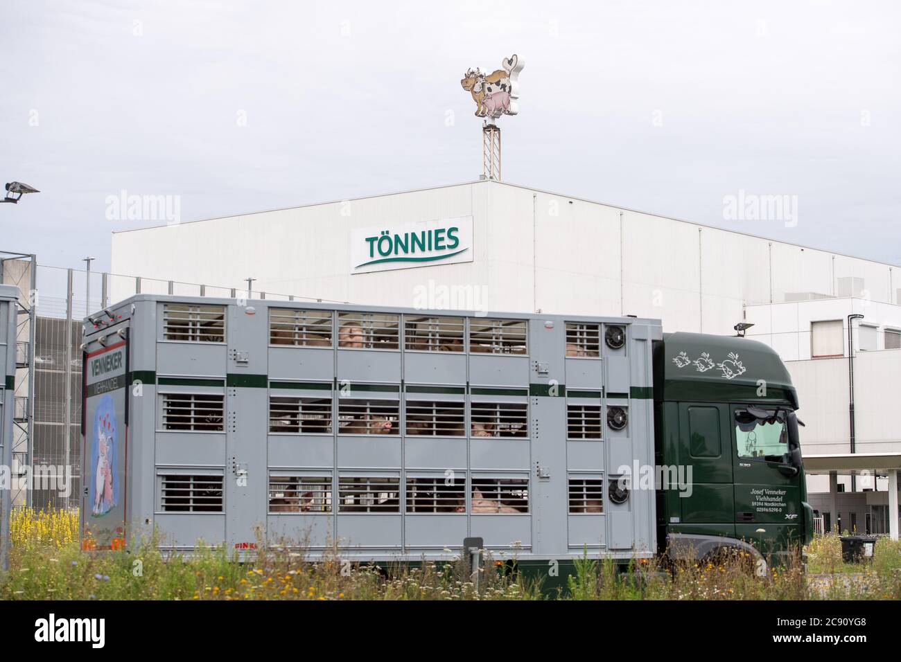 A livestock transport leads to the grounds of the Toennis works ...