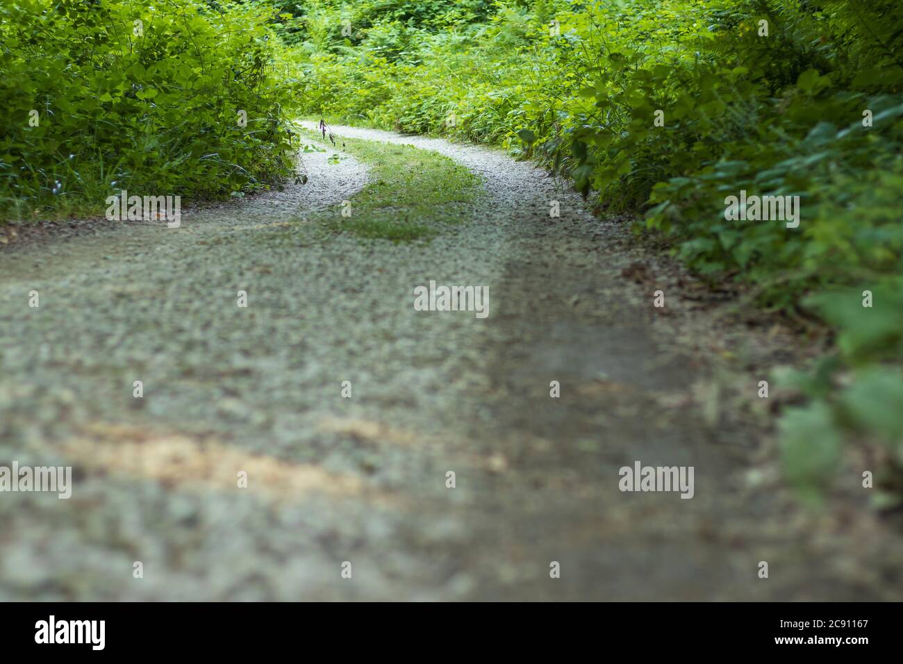 Panorama view gravel road hi-res stock photography and images - Alamy