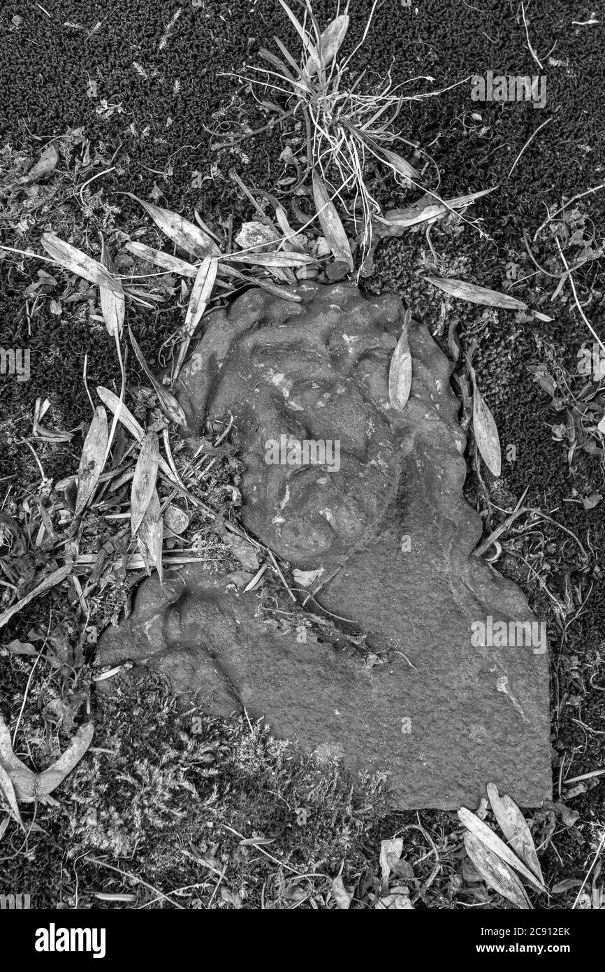 Christian cemetery hi-res stock photography and images - Alamy
