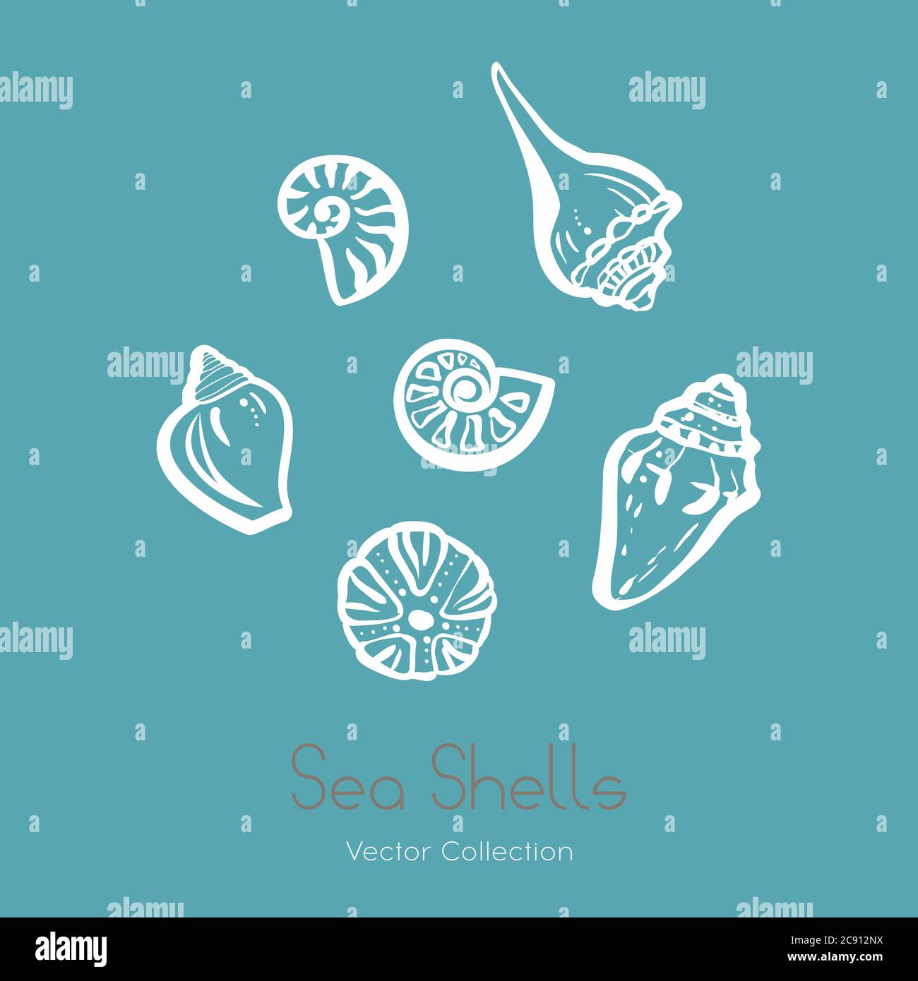 Fossil ammonite nautilus seashell vector logo set. Isolated vector of ...