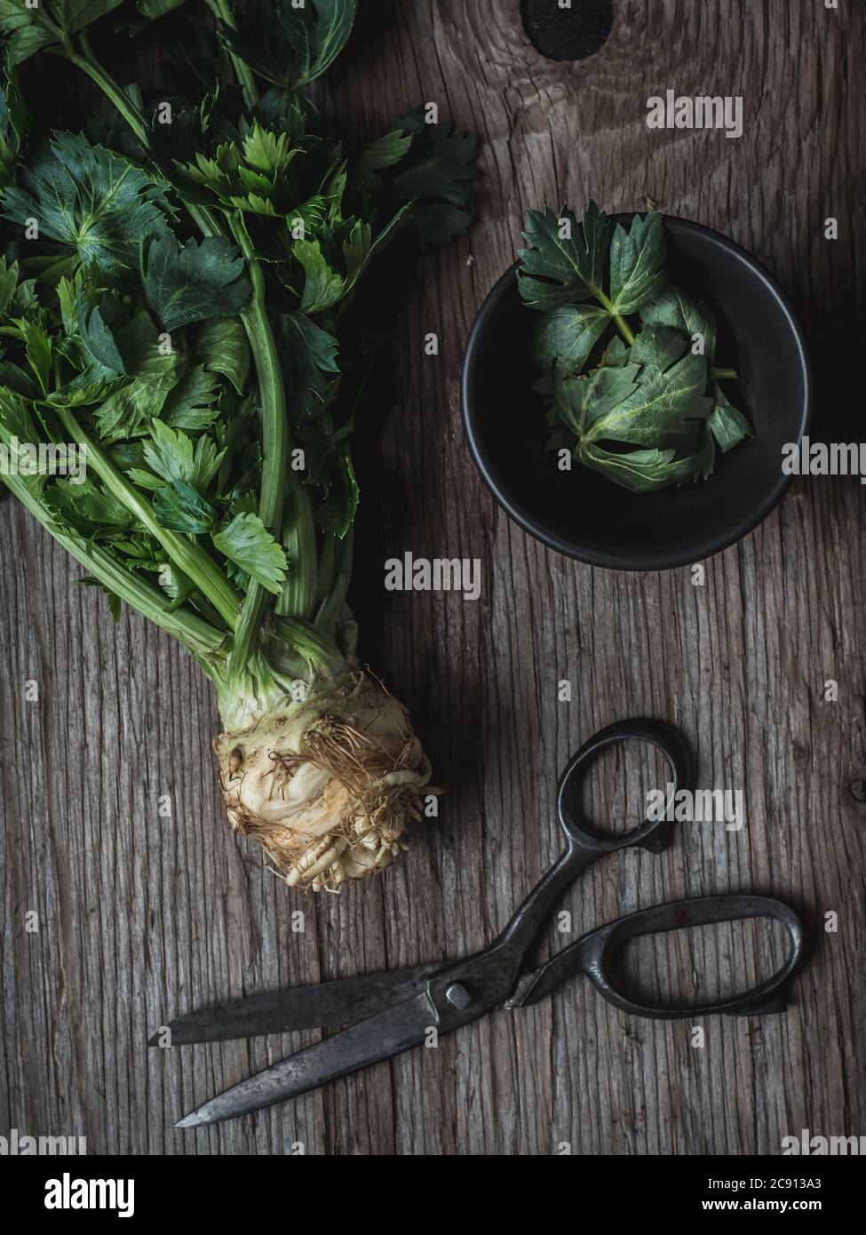 Celery root - apium graveolens - with green leaves on dark background ...