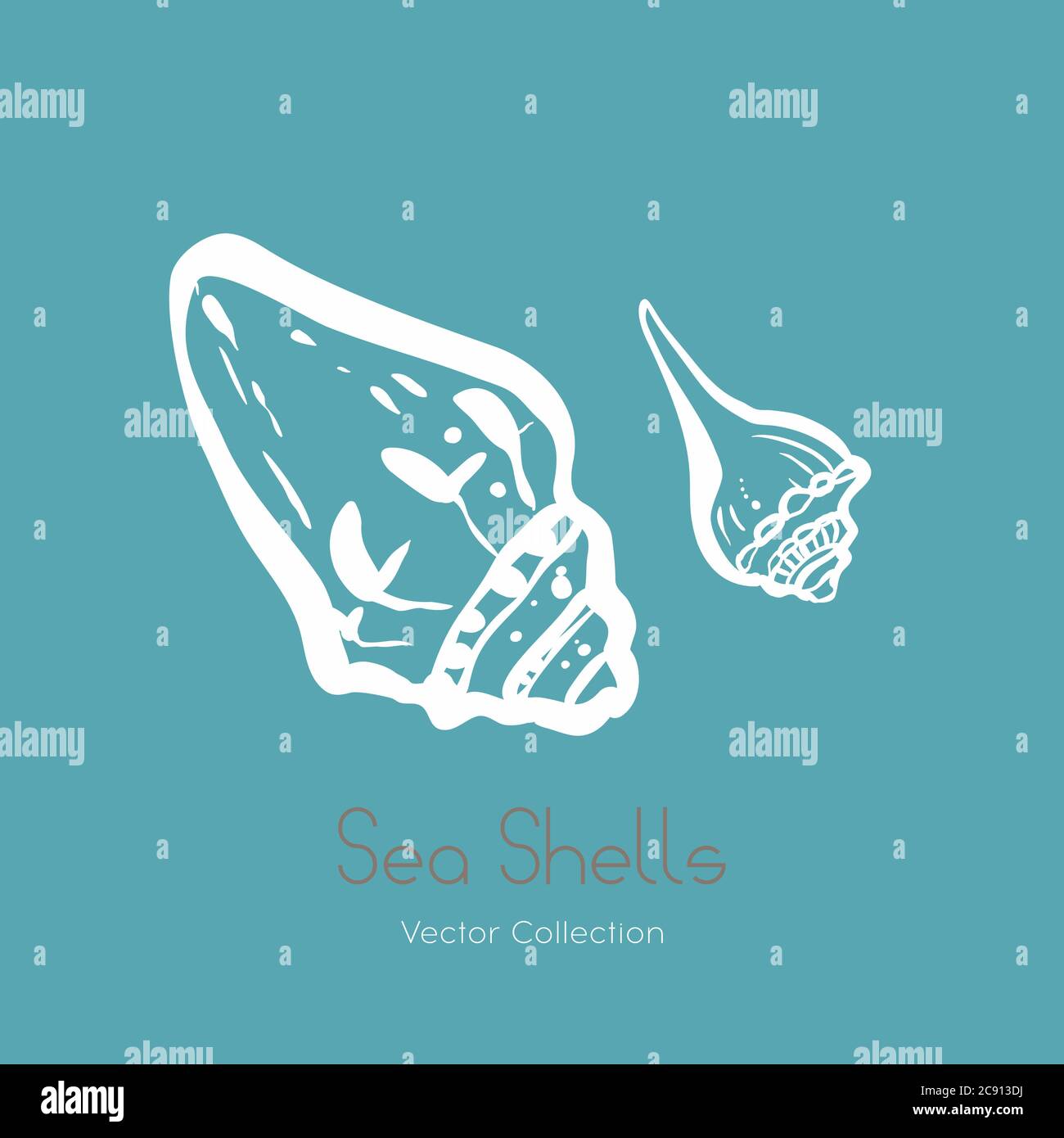 Fossil ammonite nautilus seashell vector logo set. Isolated vector of ...