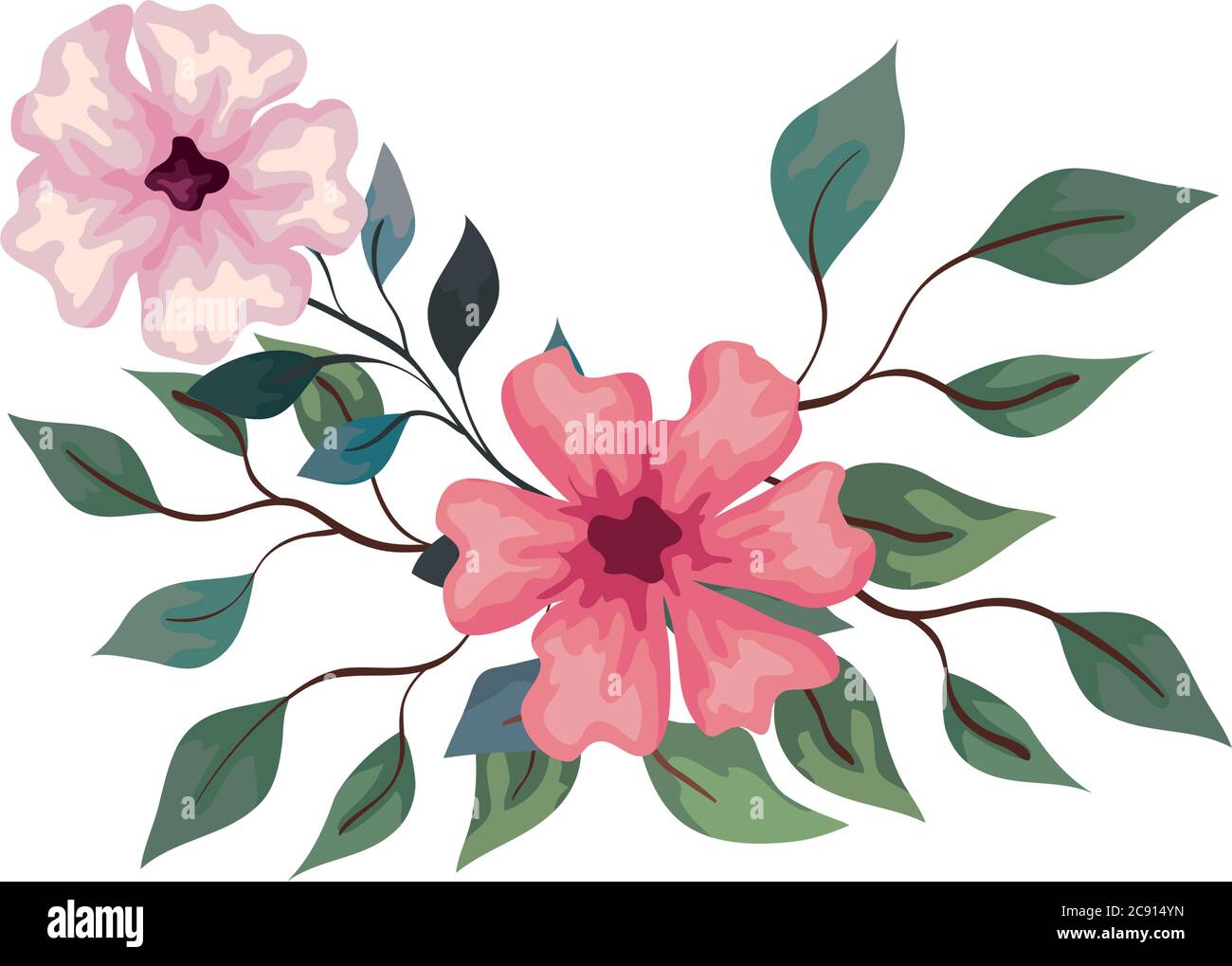 flowers pink color with branches and leaves, on white background Stock ...