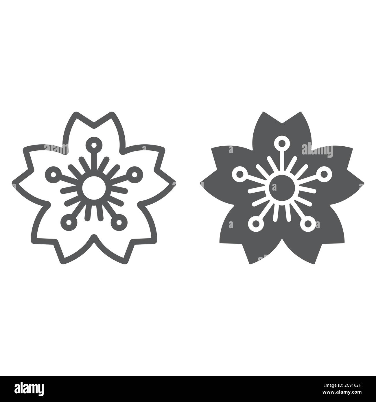 Sakura line and glyph icon, japan and flower, cherry blossom sign ...