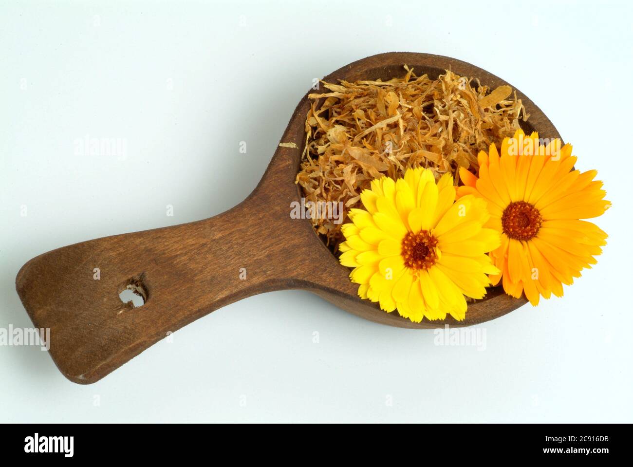 Marigold, Calendula officinalis. Pharmaceutically the dried flower ...