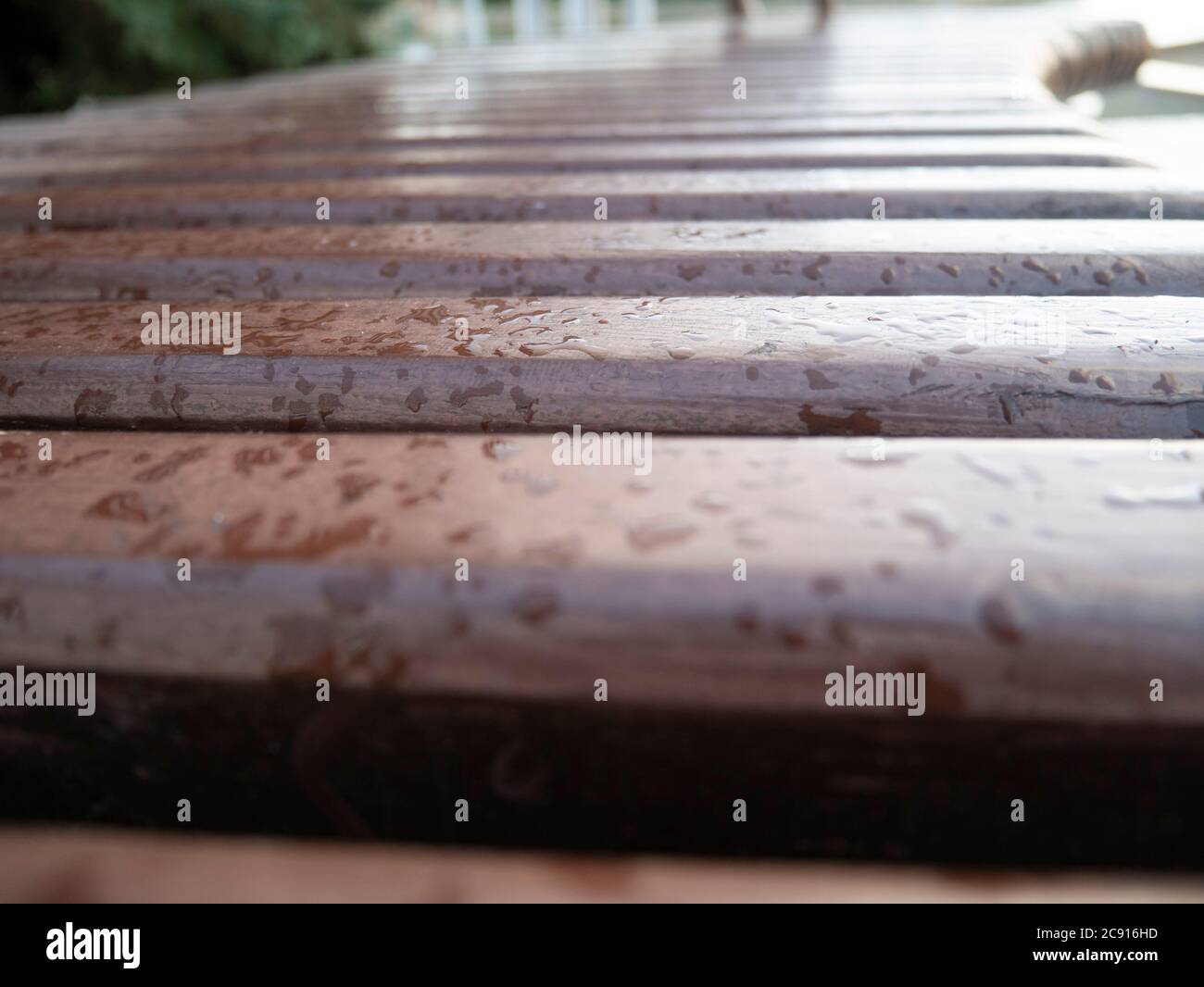 Close up of drops on the bench. Surface after rain, wet wooden ...