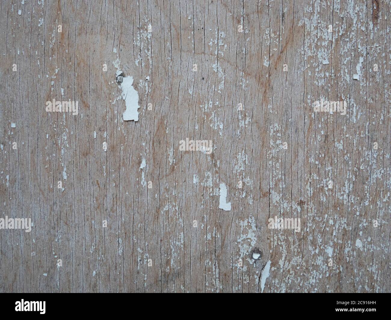 Texture of old wood wall with white aged paint, textured vintage ...