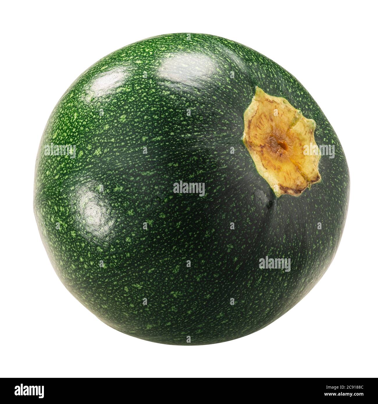 Globe striped Zucchini (Cucurbita pepo fruit), isolated Stock Photo - Alamy