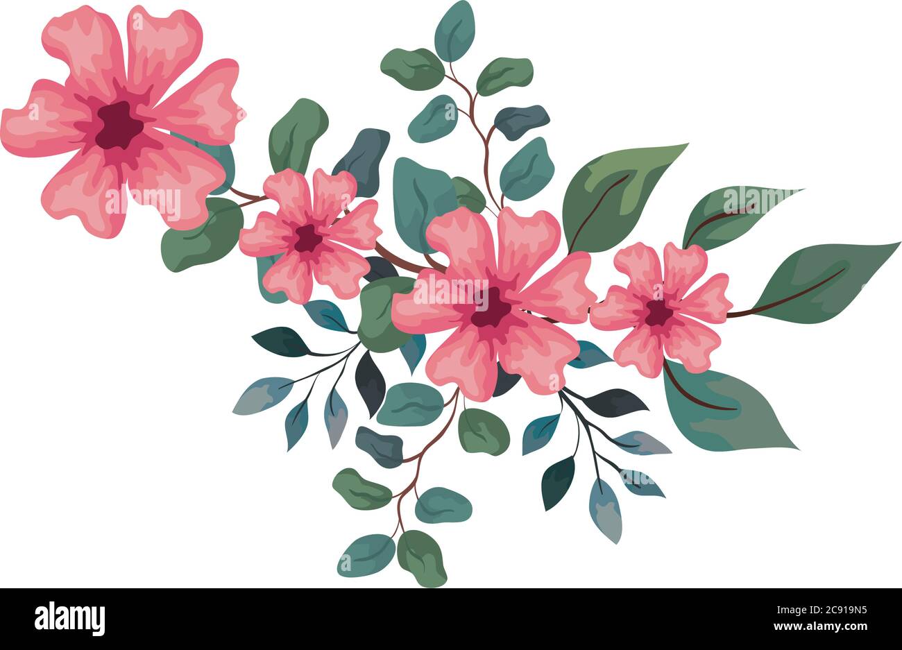 flowers pink color with branches and leaves, on white background Stock ...