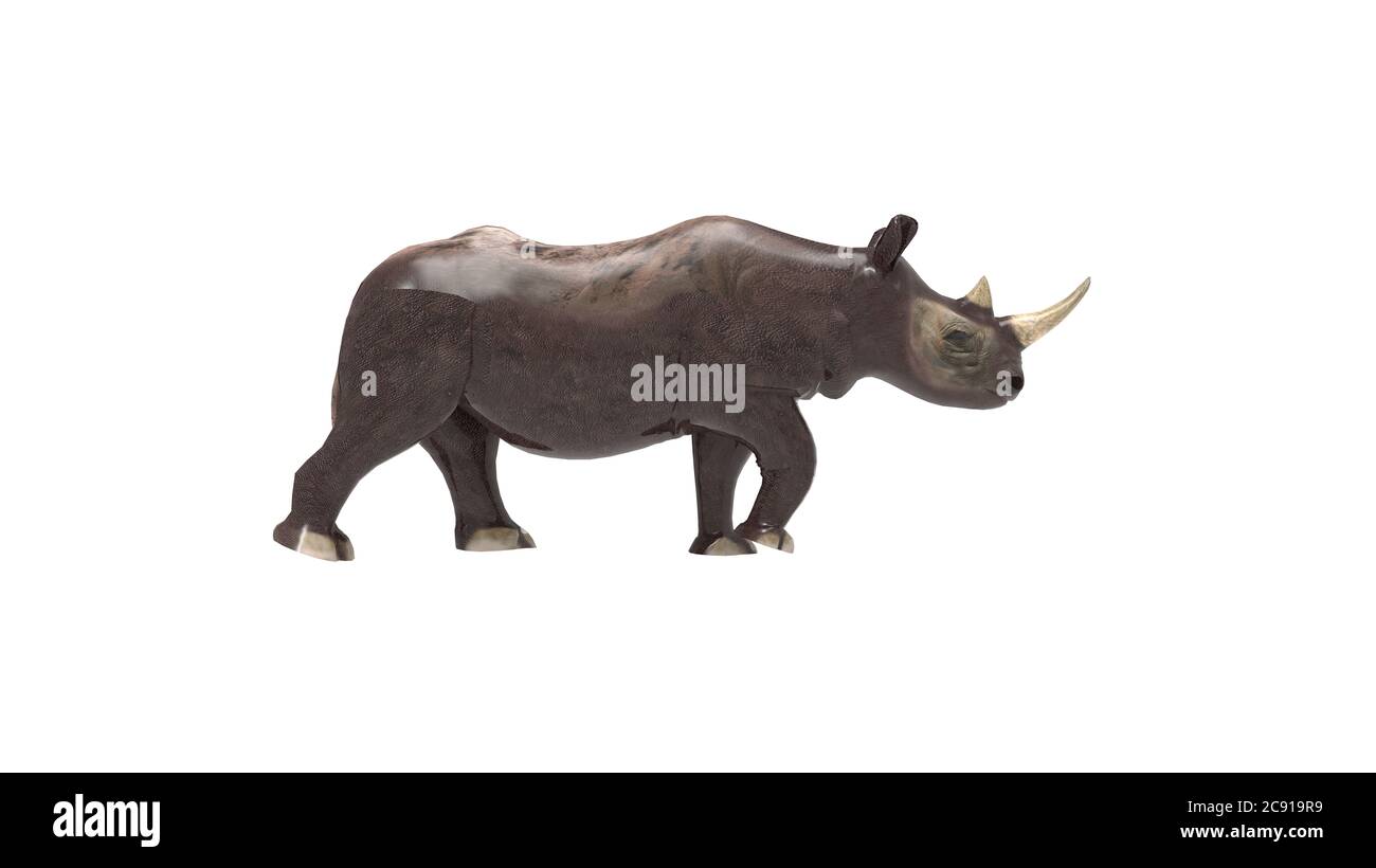3D rendering of a rhino rhinoceros beast animal side profile isolated ...