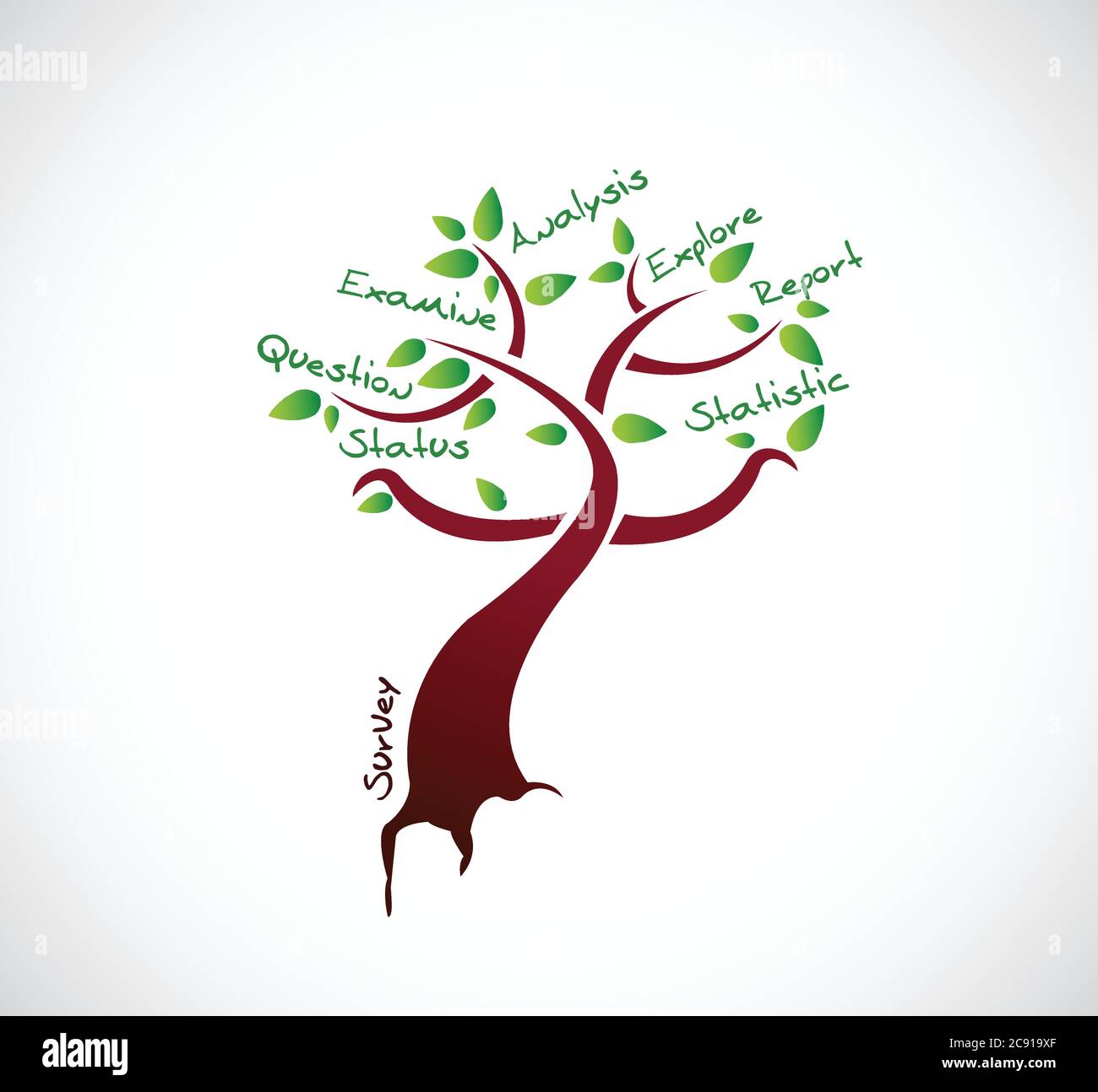 Survey growth tree model illustration design over a white background ...