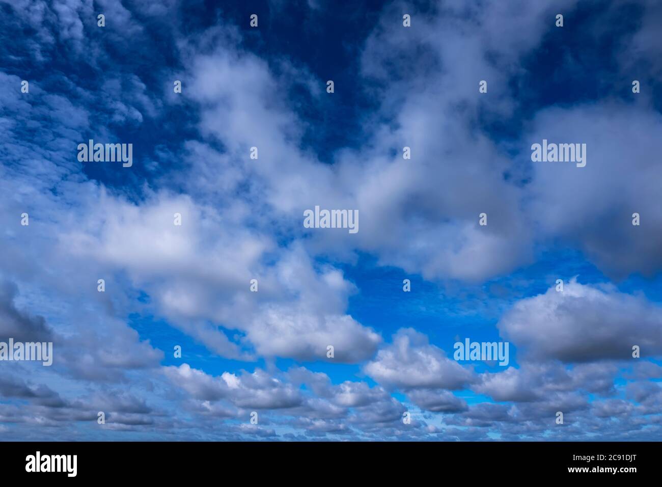 Climate groups hi-res stock photography and images - Alamy