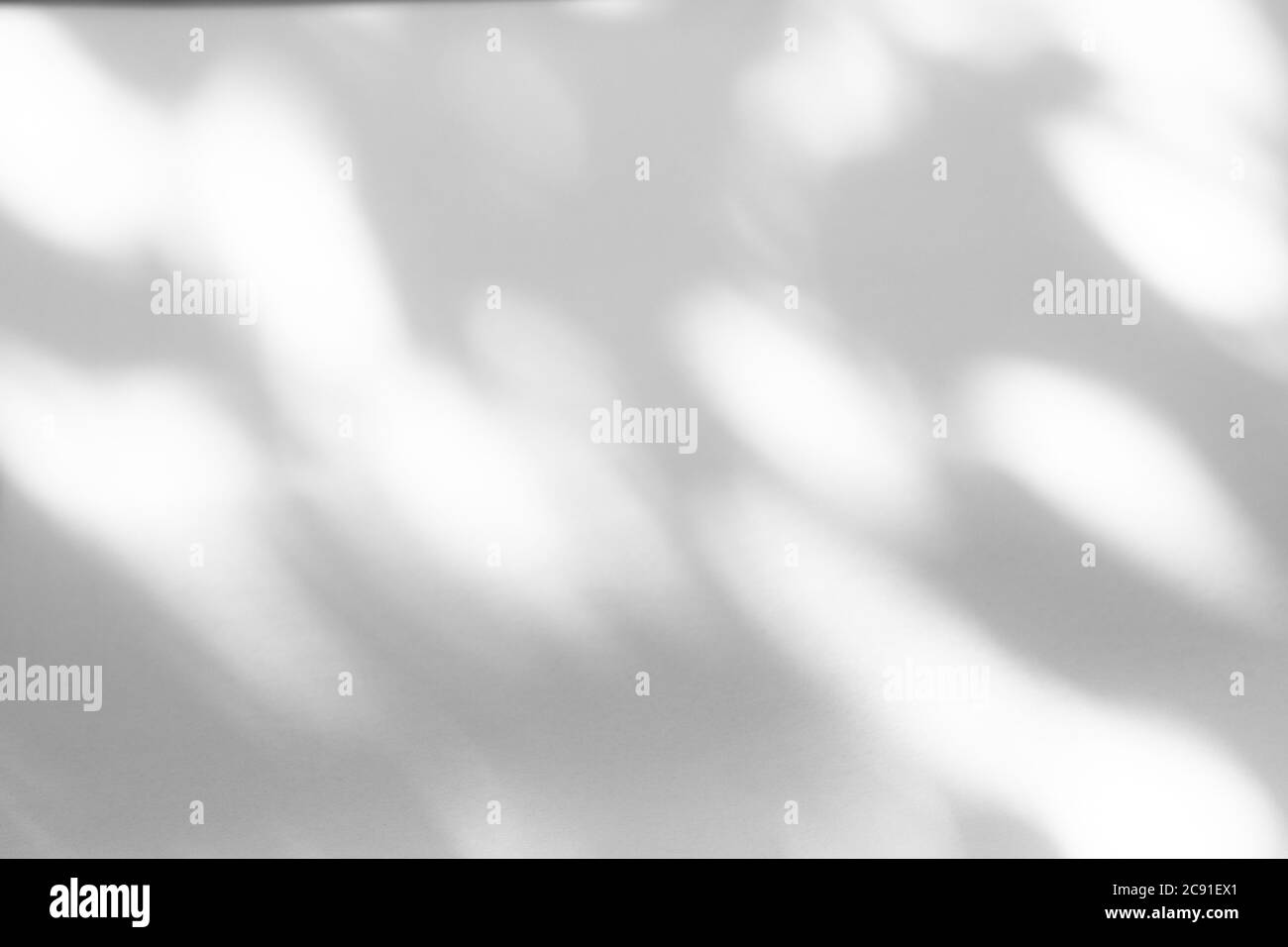 Dappled light photography hi-res stock photography and images - Alamy