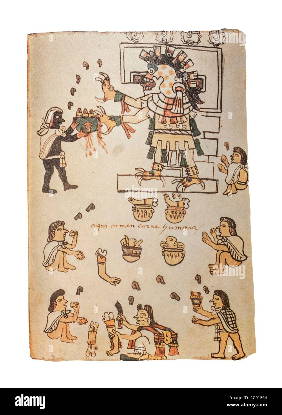 Human Cannibalism High Resolution Stock Photography and Images - Alamy