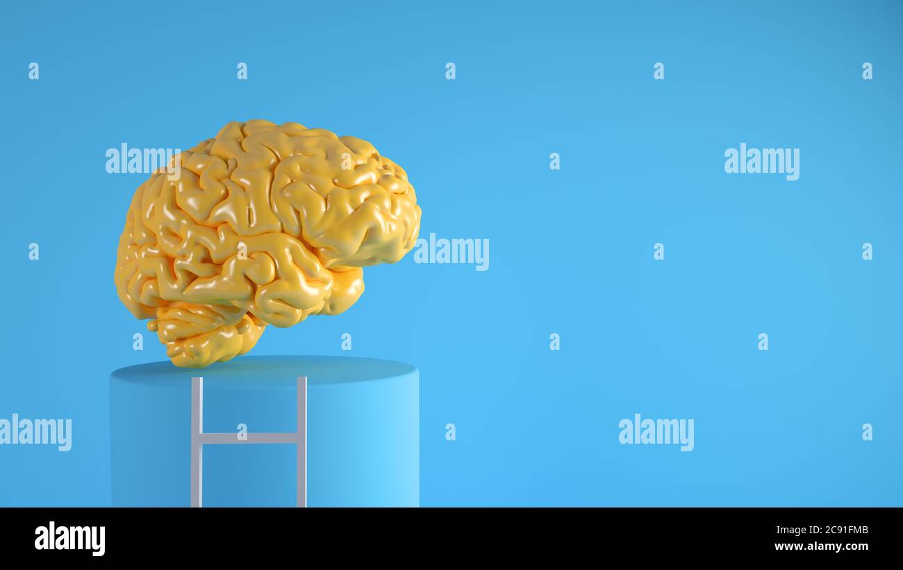 Brain on platform concept 3d rendering Stock Photo - Alamy