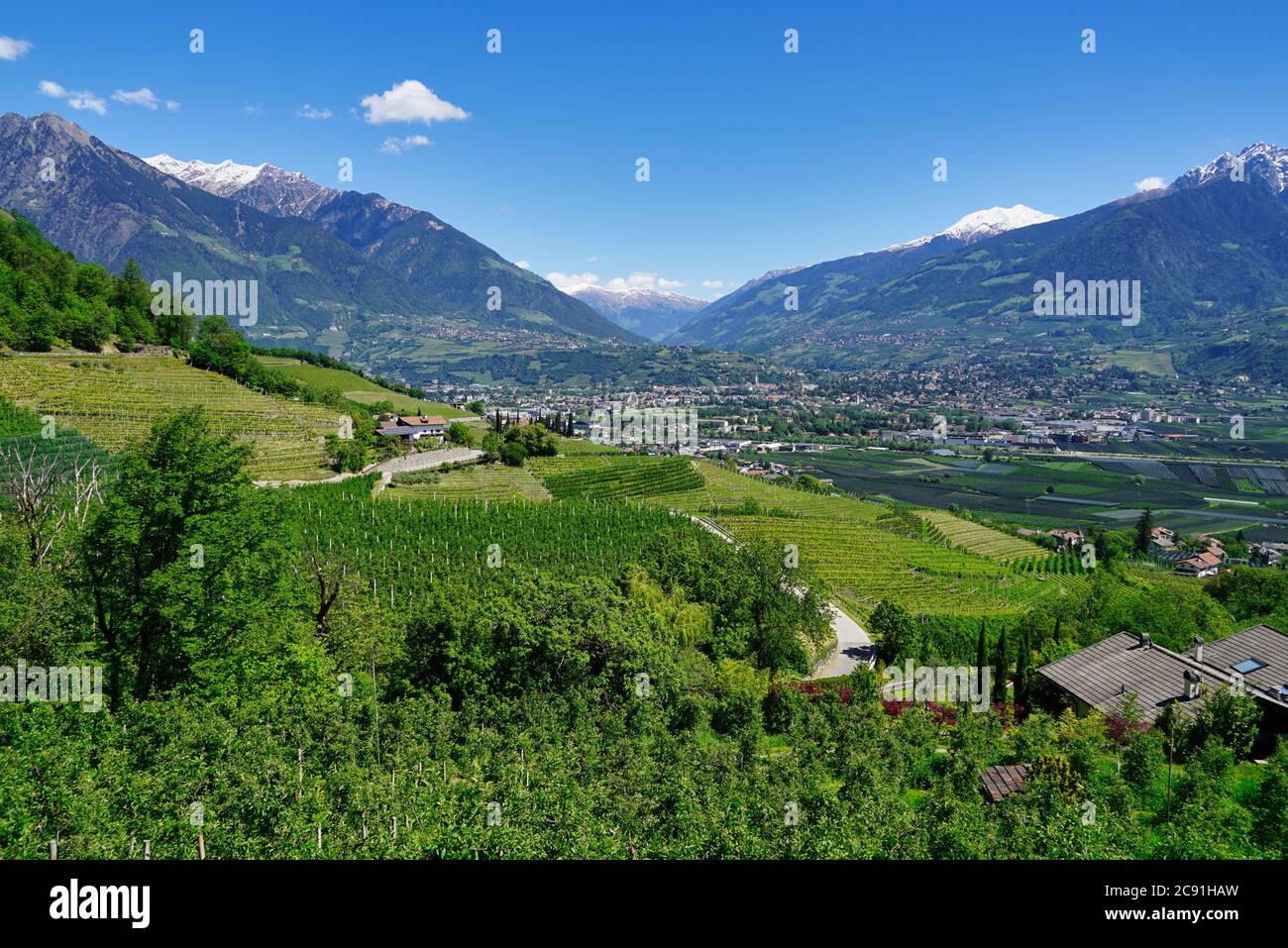 Merano and valley from above, mountains Stock Photo - Alamy